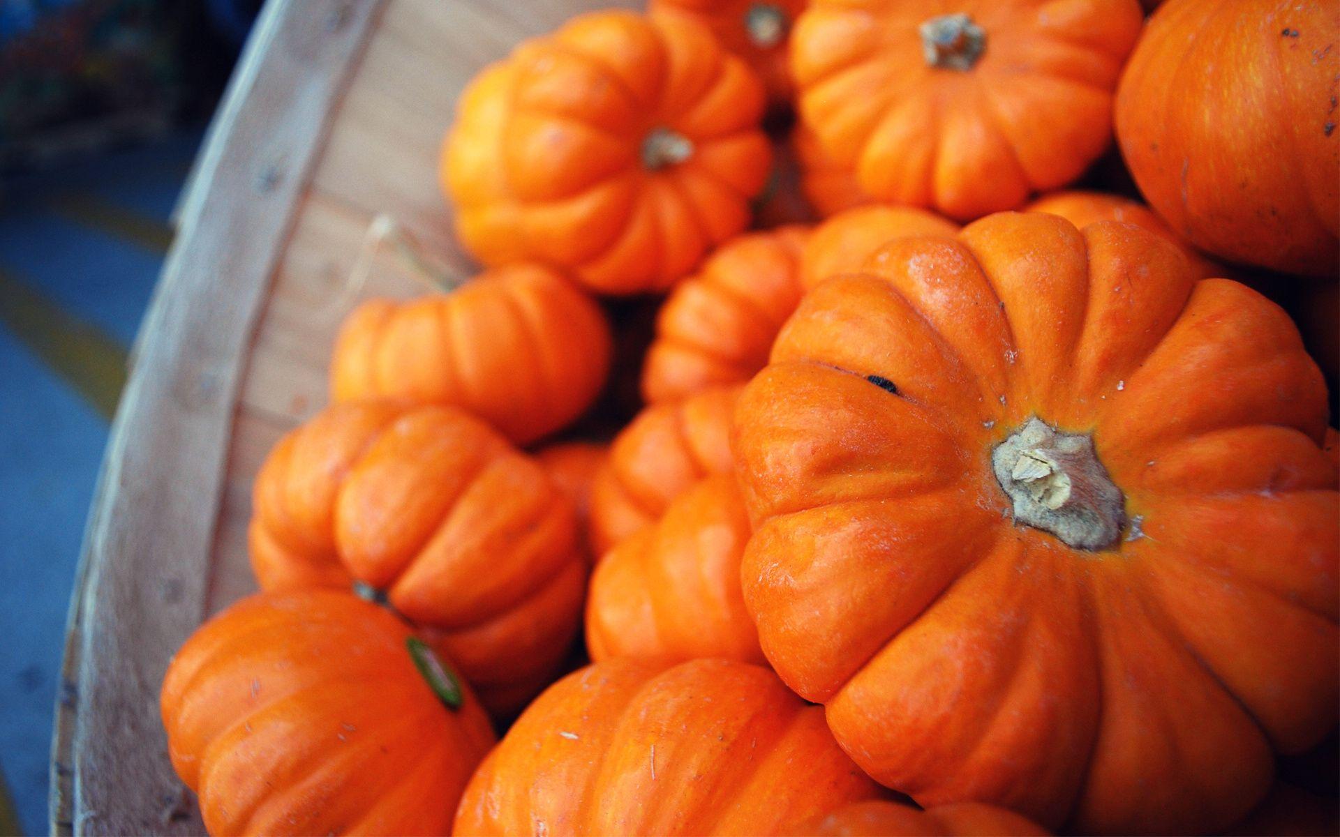 Pumpkins Wallpapers - Top Free Pumpkins Backgrounds - WallpaperAccess