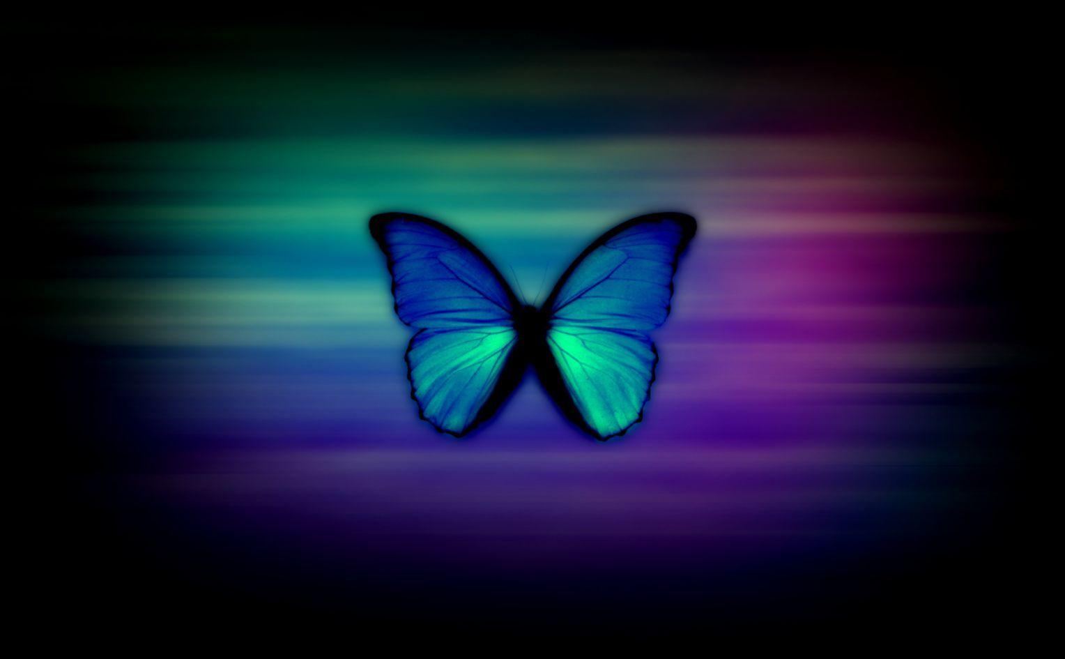 Blue Butterfly Desktop Wallpapers - Top Free Blue Butterfly Desktop ...