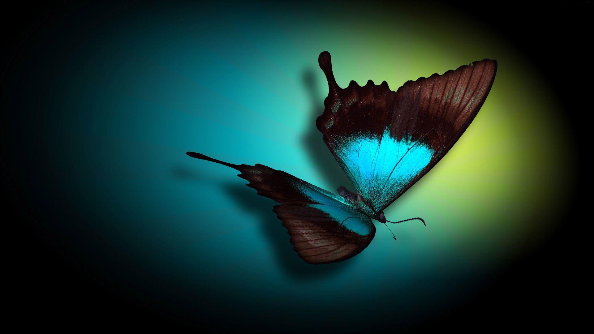 Blue Butterfly Desktop Wallpapers - Top Free Blue Butterfly Desktop ...