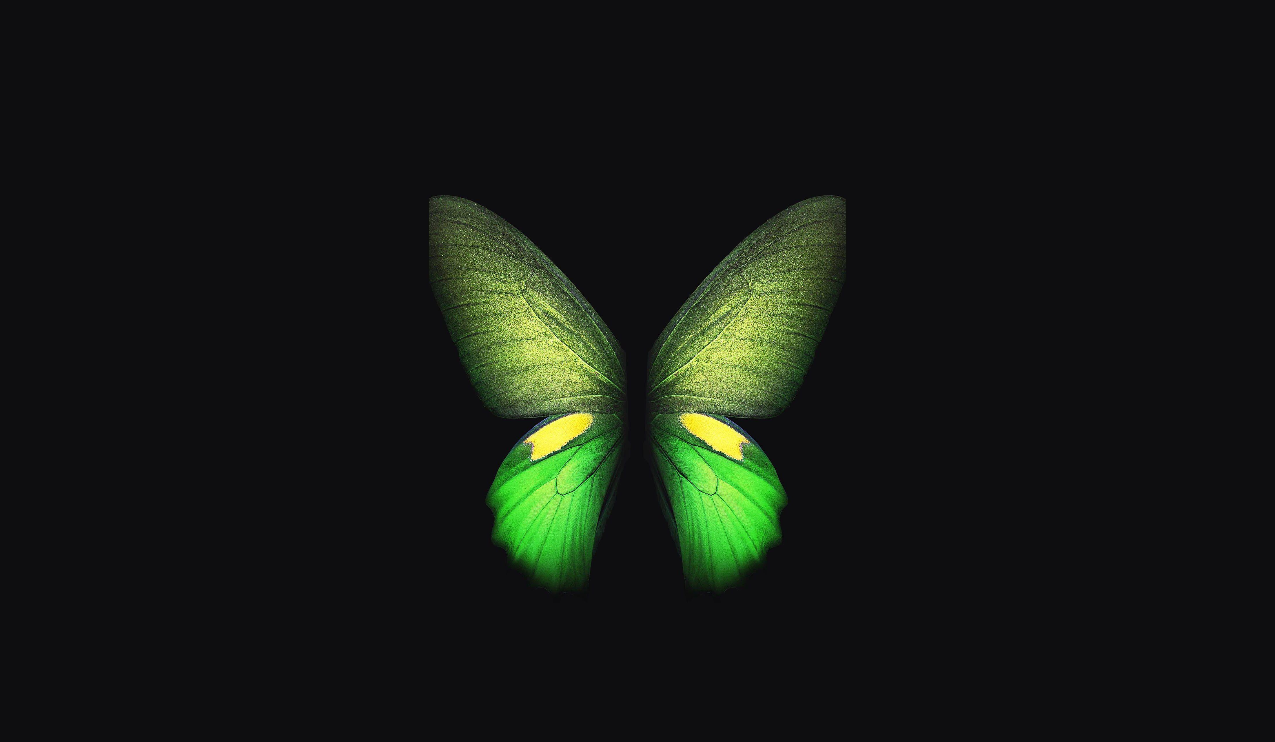 Neon Butterfly Desktop Wallpapers - Top Free Neon Butterfly Desktop ...