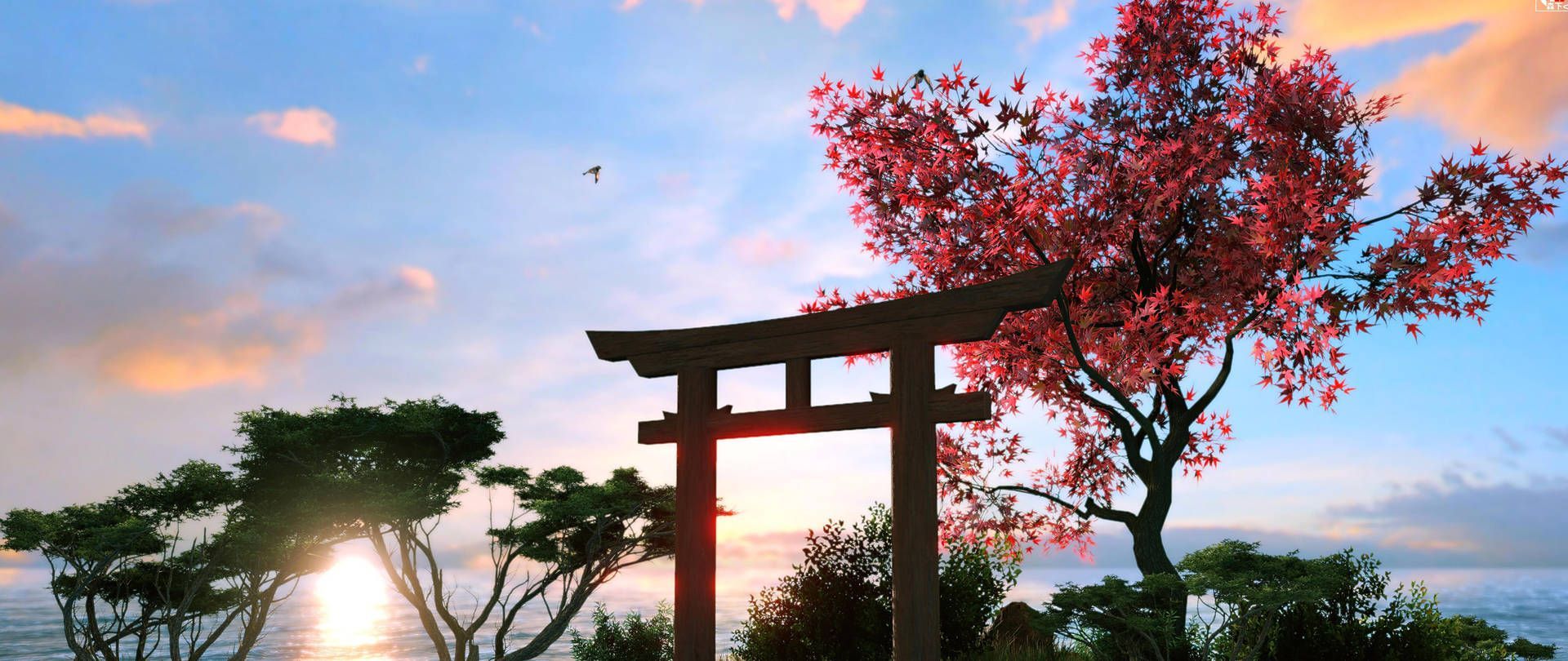 Torii Gate Wallpapers - Top Free Torii Gate Backgrounds - WallpaperAccess
