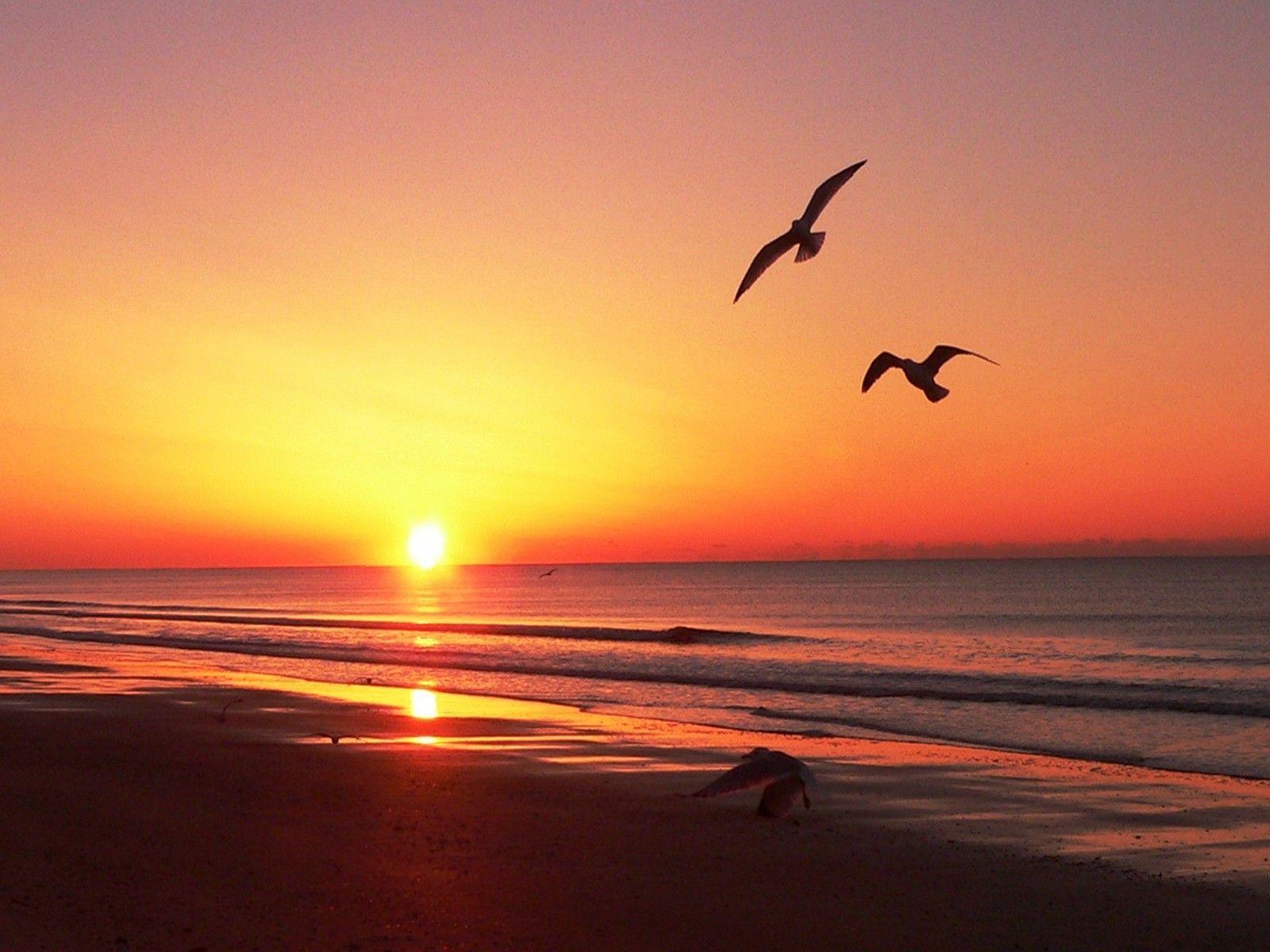 Clear Sunset Wallpapers - Top Free Clear Sunset Backgrounds ...