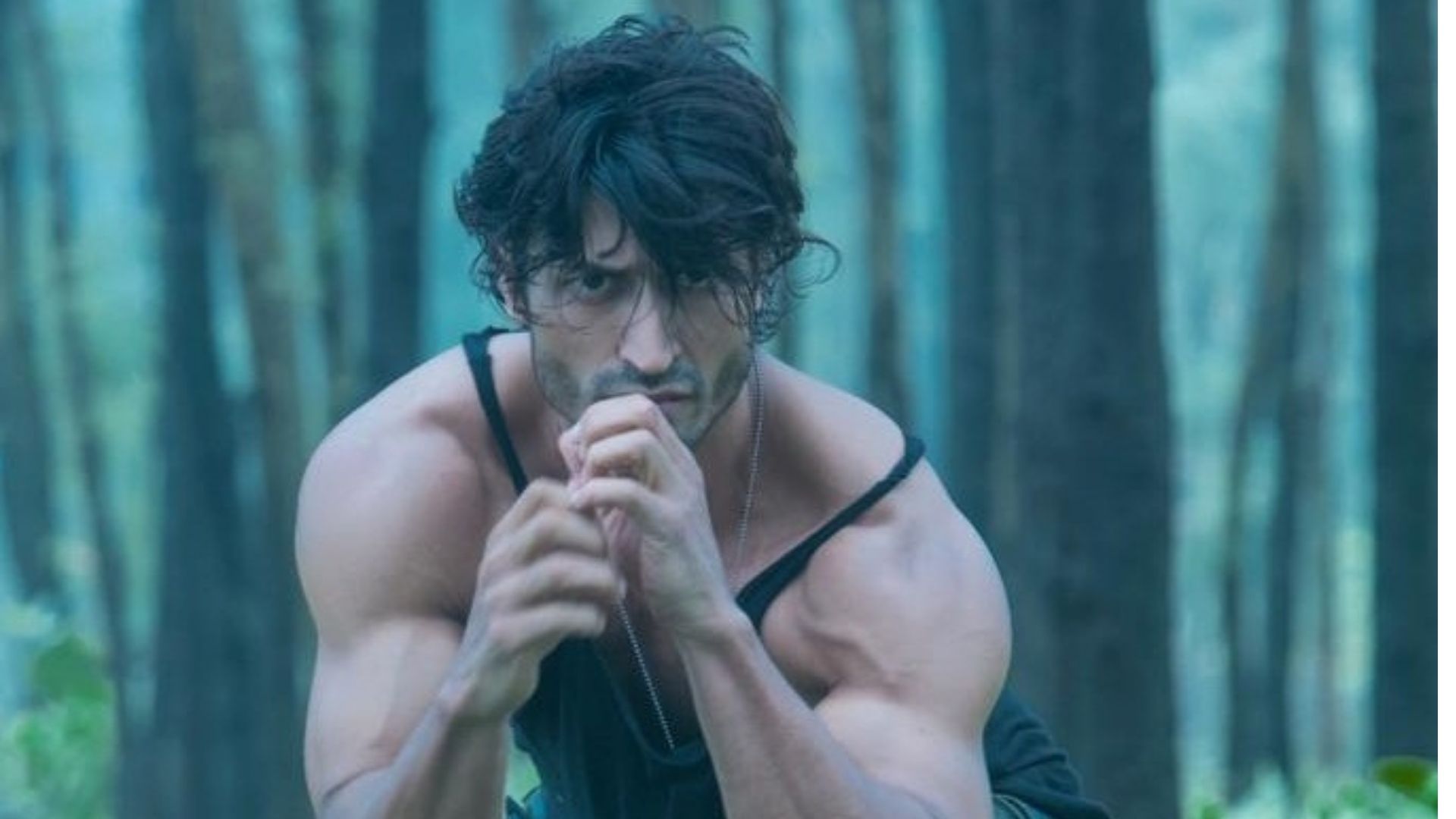 Vidyut Jamwal Body Wallpapers - Top Free Vidyut Jamwal Body Backgrounds ...