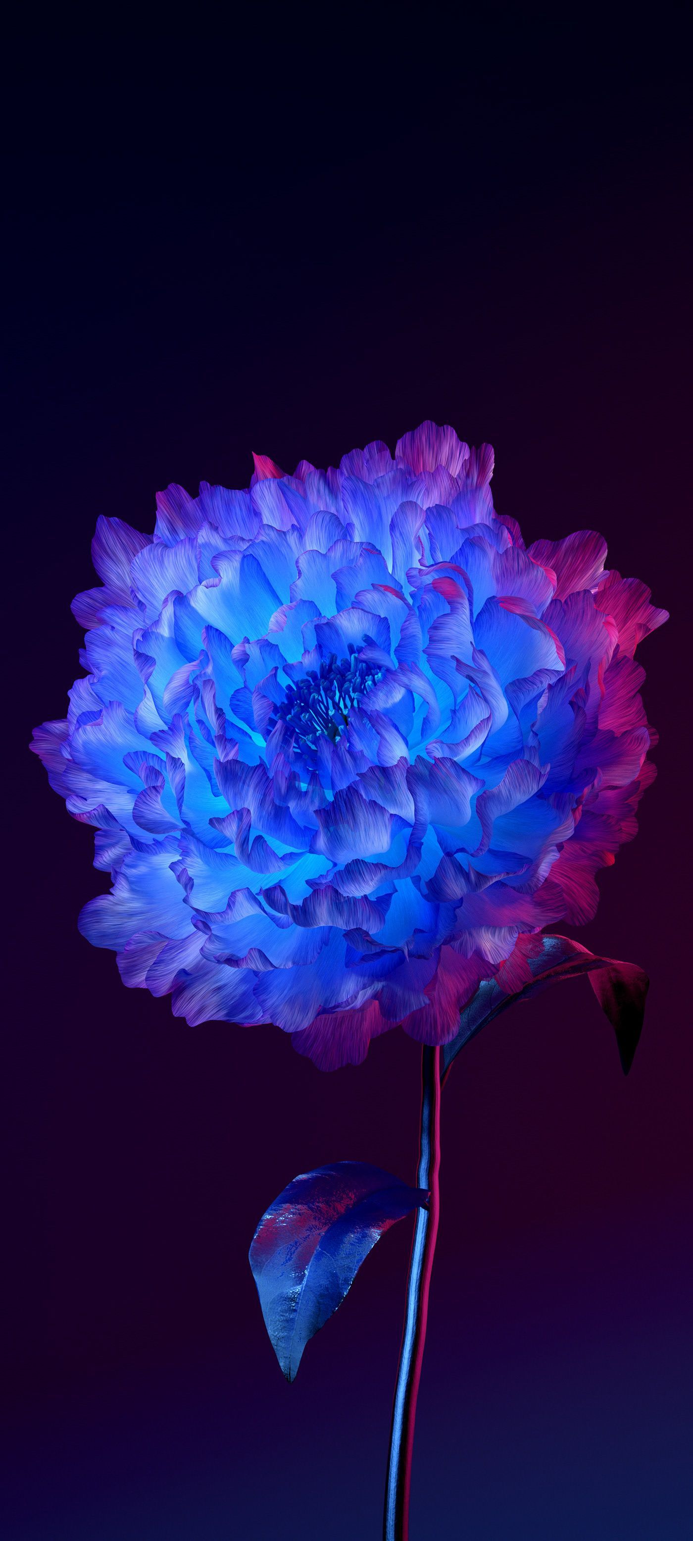 Origin OS Wallpapers - Top Free Origin OS Backgrounds - WallpaperAccess