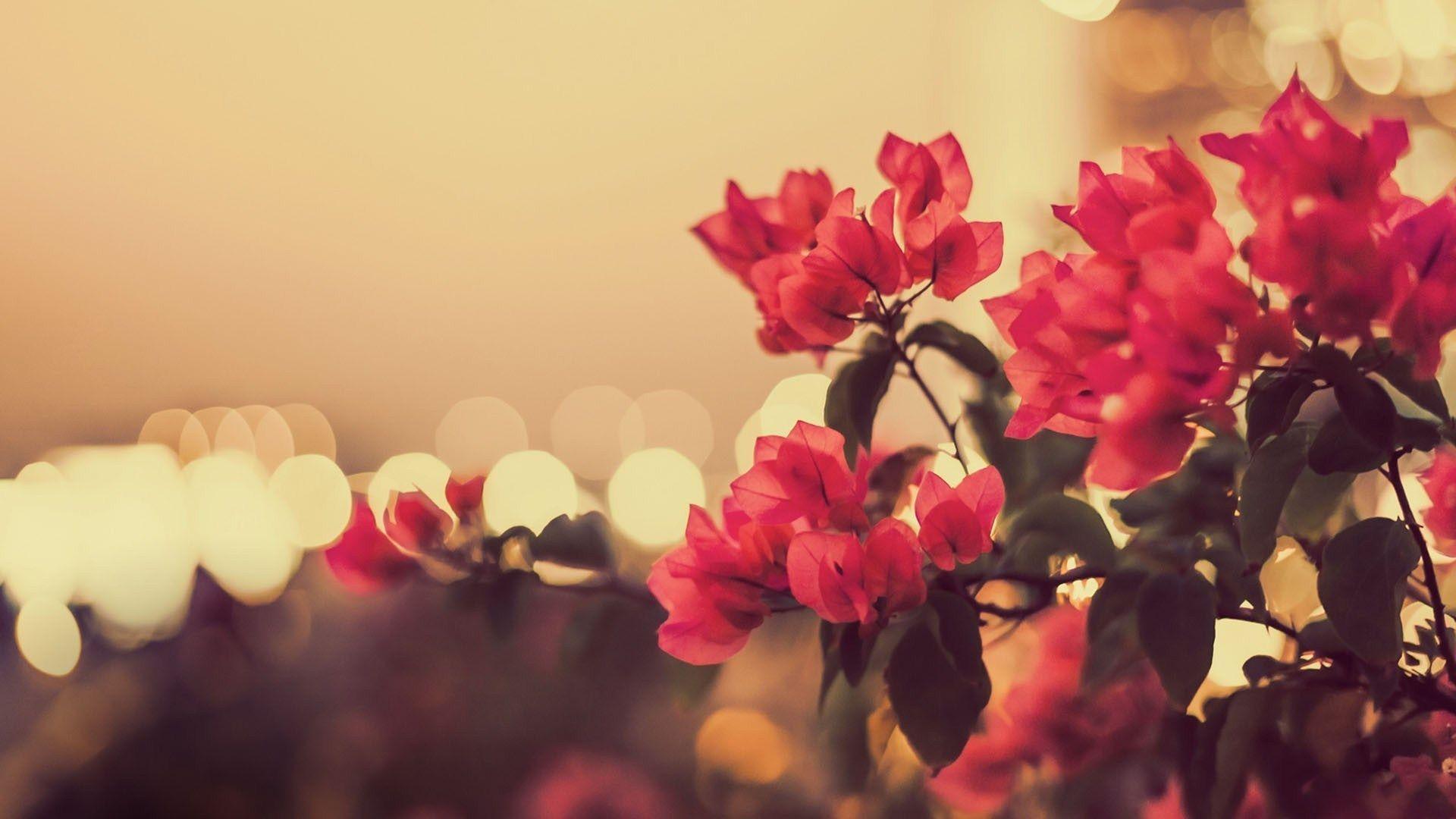 Vintage Photography Desktop Wallpapers - Top Free Vintage Photography ...