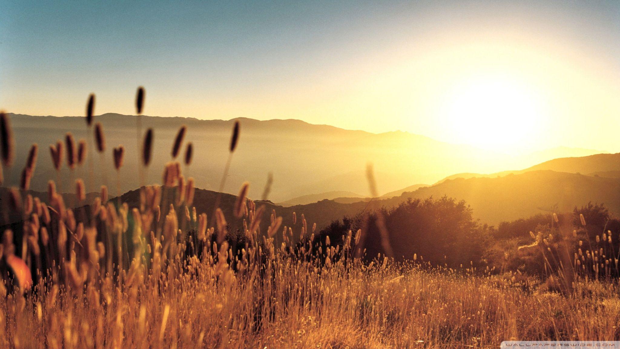 Vintage Summer Wallpapers - Top Free Vintage Summer Backgrounds ...