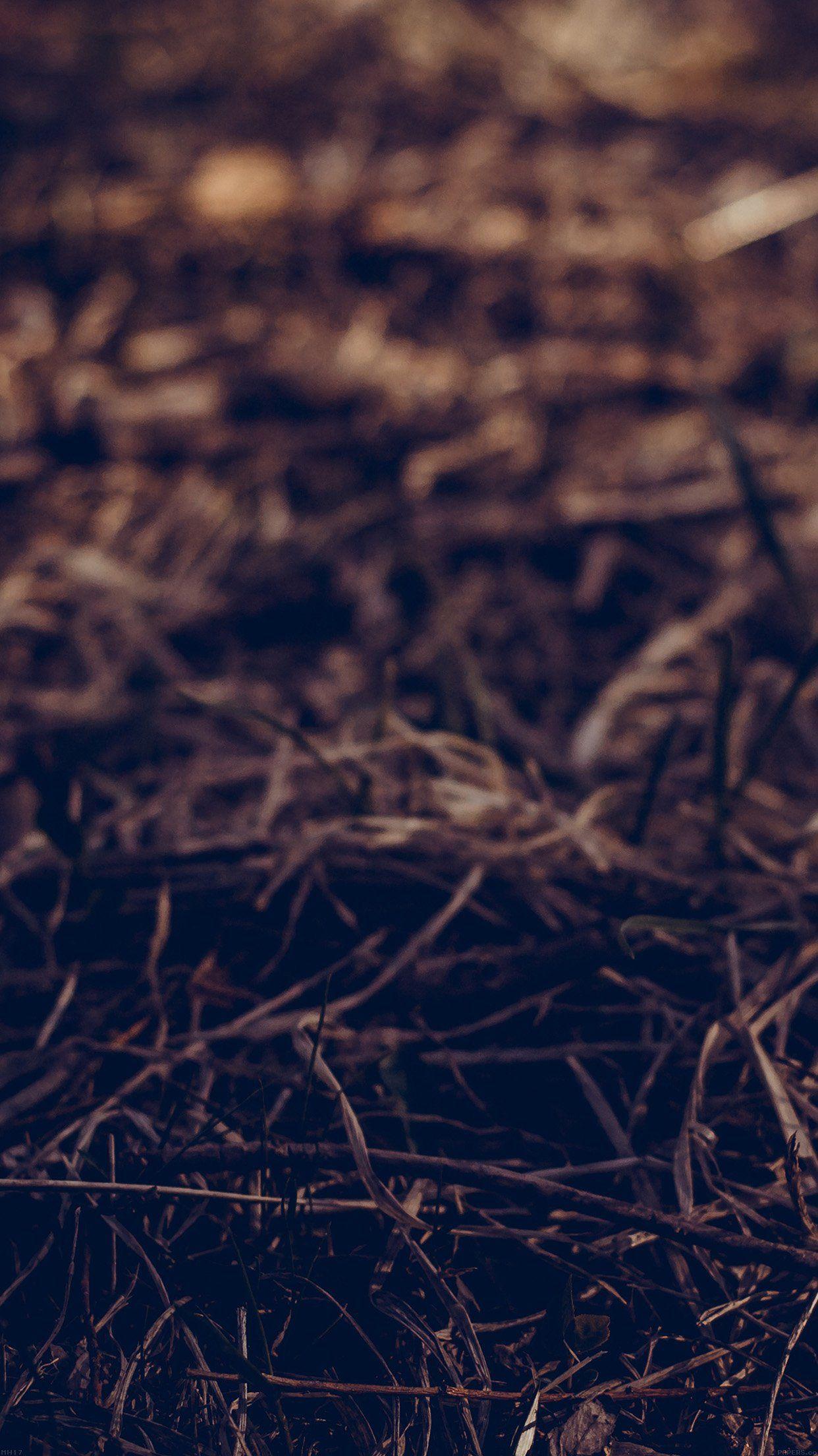 Old Nature Wallpapers - Top Free Old Nature Backgrounds - WallpaperAccess