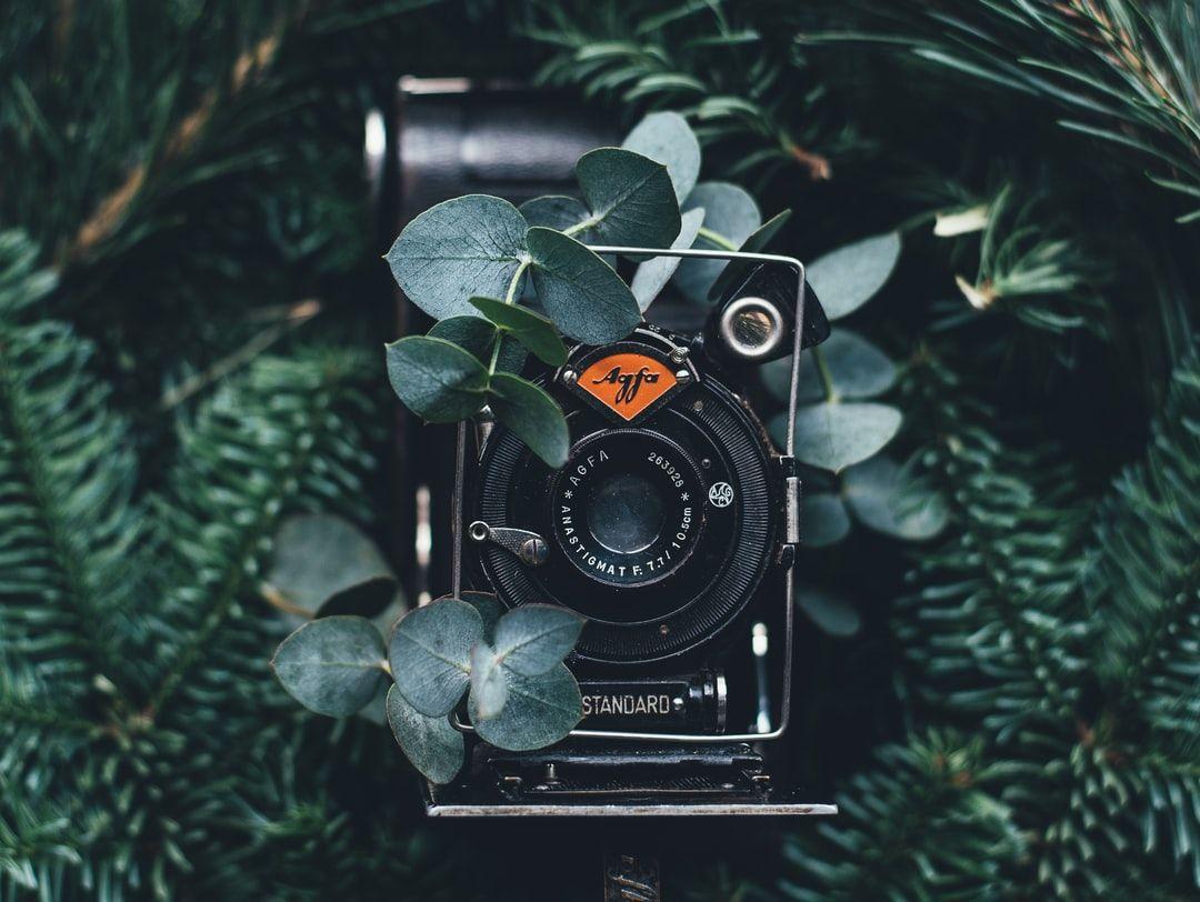 Vintage Camera Photography Wallpapers - Top Free Vintage Camera ...