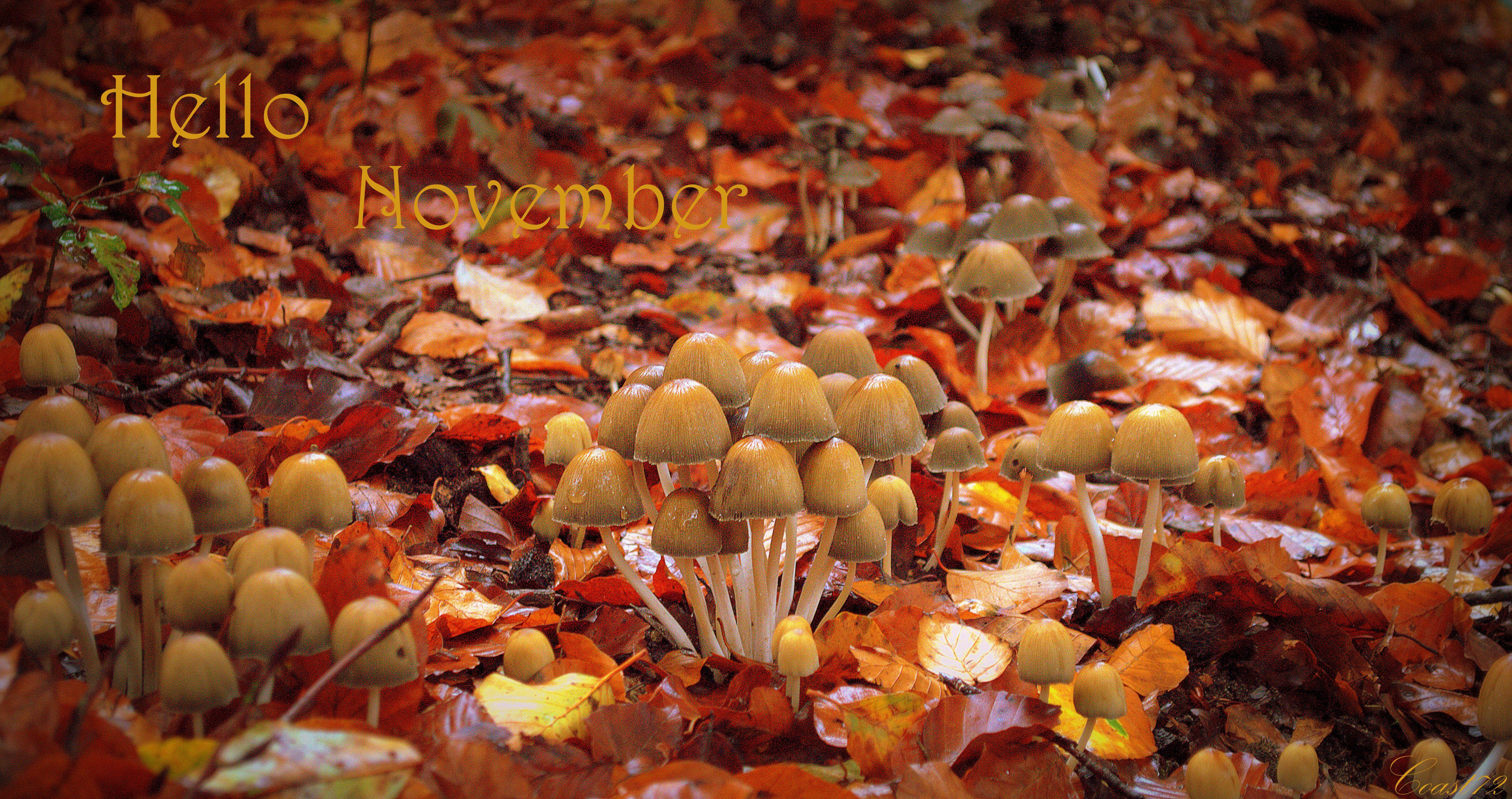 Hello November Wallpapers - Top Free Hello November Backgrounds ...