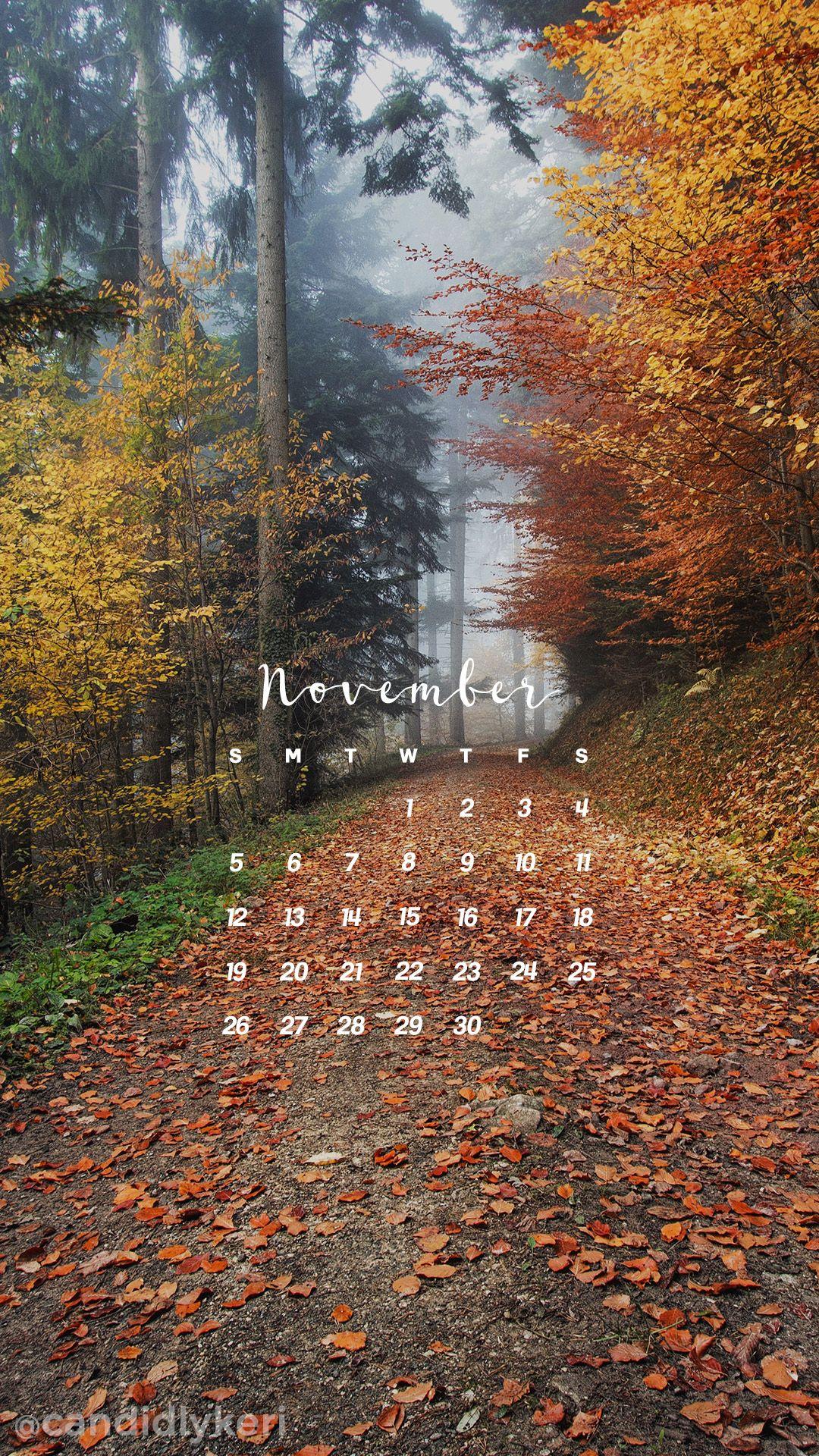 November Fall Wallpapers - Top Free November Fall Backgrounds ...