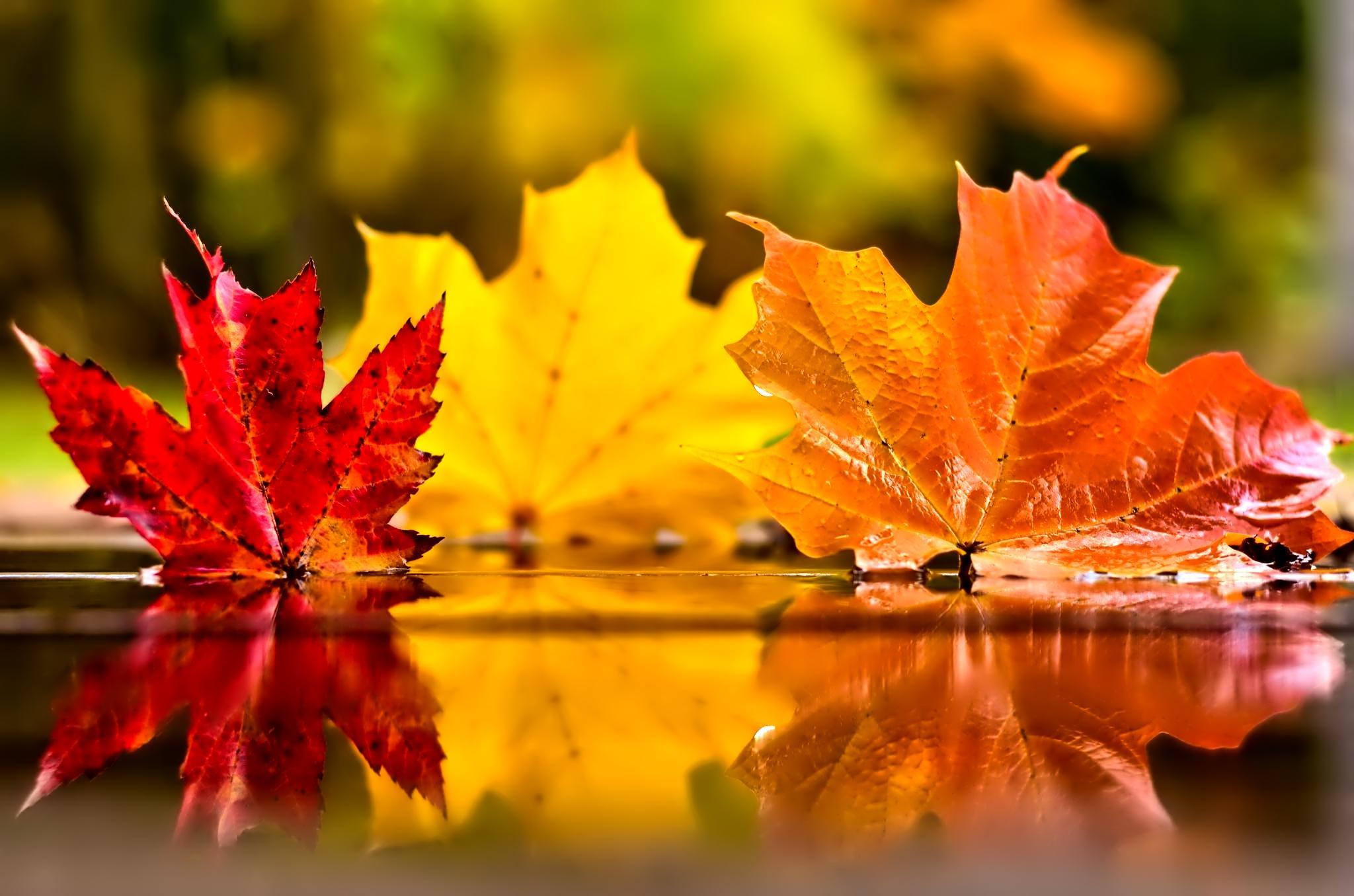 Hello November Desktop Wallpapers - Top Free Hello November Desktop ...