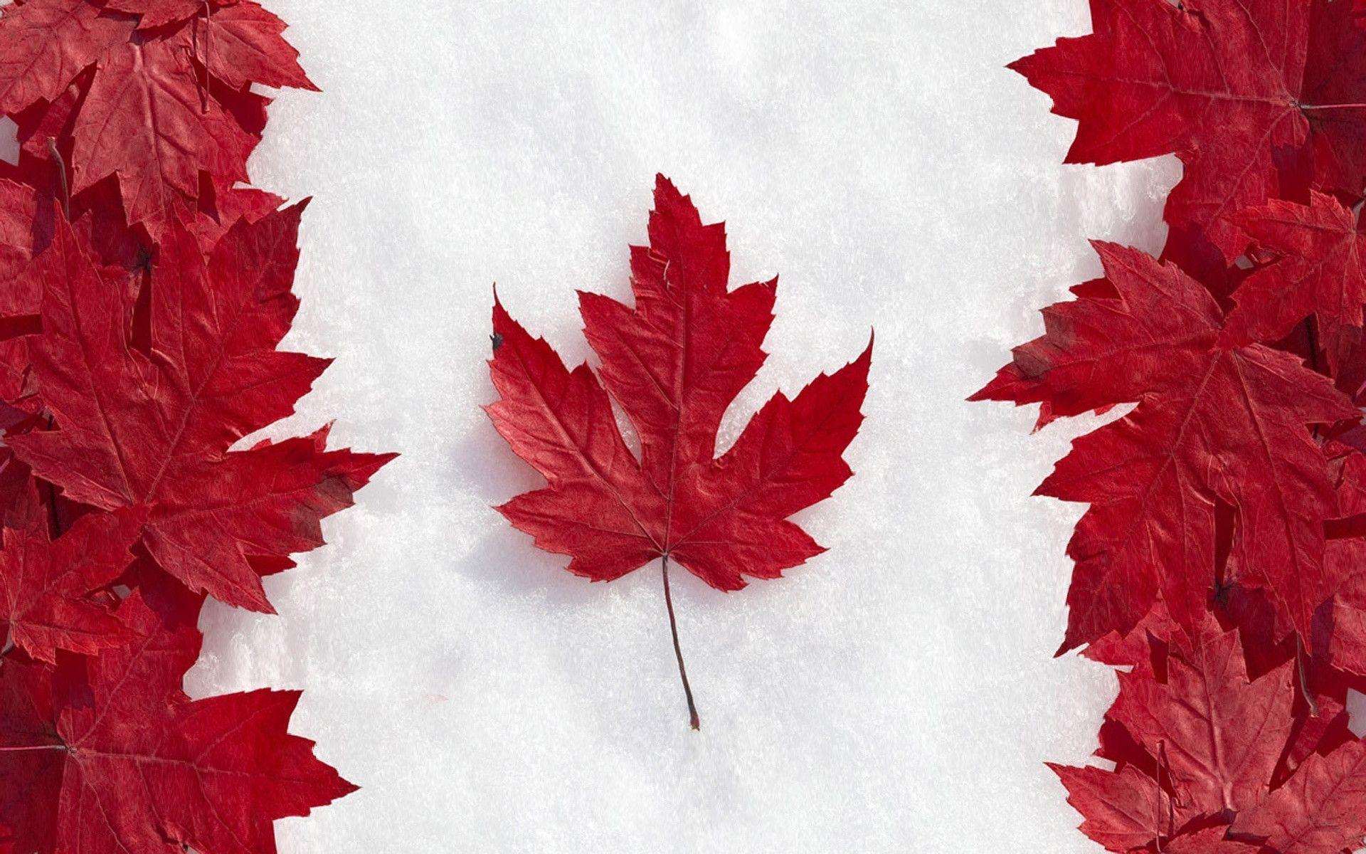 Canada Wallpapers - Top Free Canada Backgrounds - WallpaperAccess