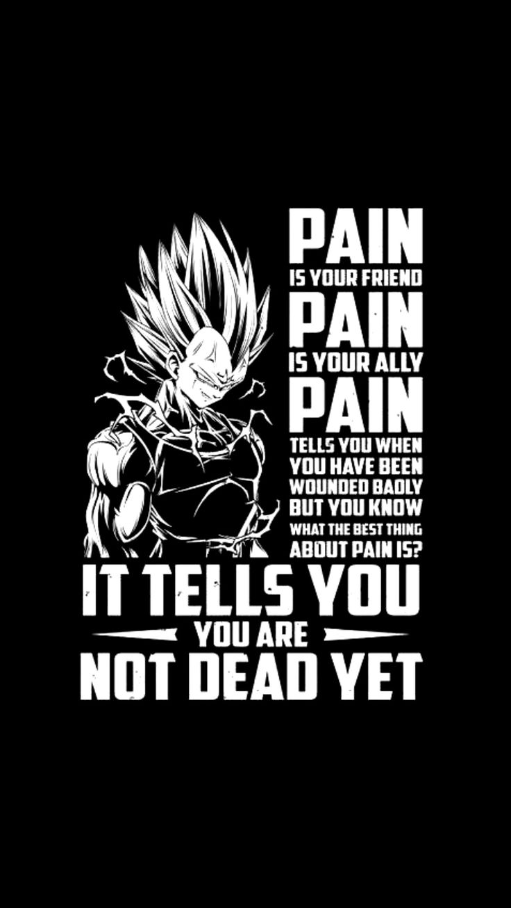 Dragon Ball Quotes Wallpapers - Top Free Dragon Ball Quotes Backgrounds ...