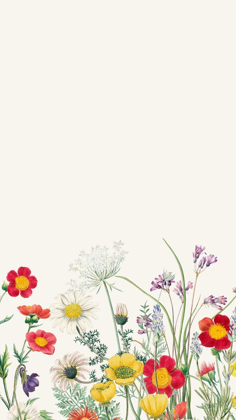 Drawn Flowers Wallpapers - Top Free Drawn Flowers Backgrounds ...