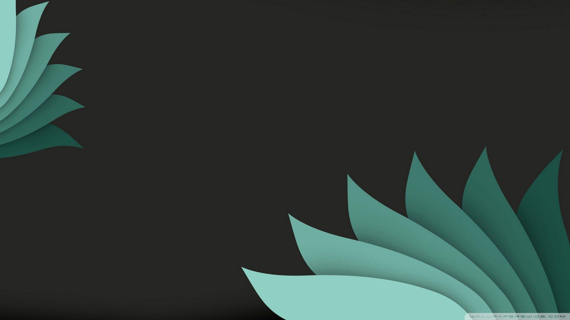 Minimalist Plant Wallpapers - Top Free Minimalist Plant Backgrounds ...