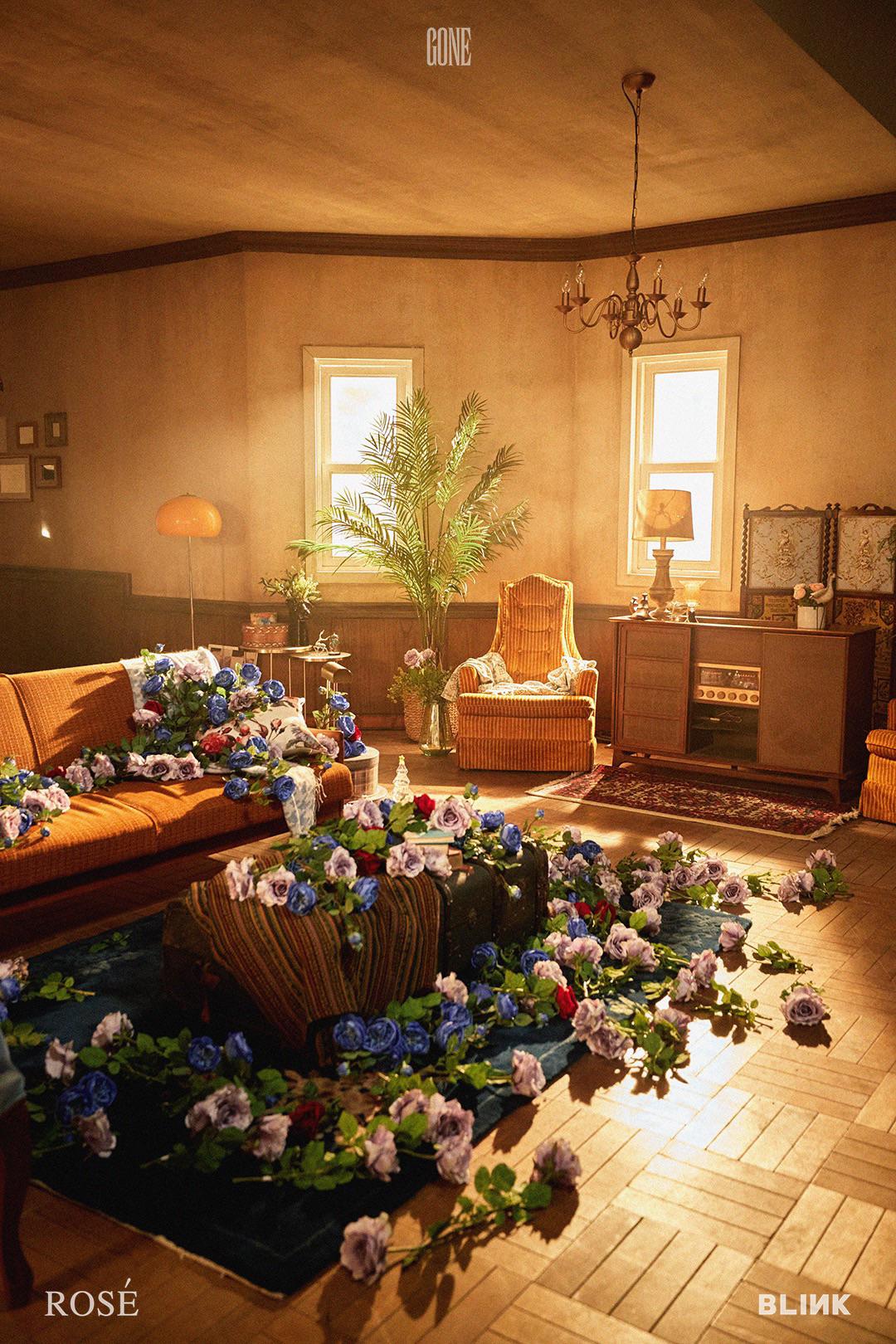 Rosé Gone Wallpapers - Top Free Rosé Gone Backgrounds - WallpaperAccess