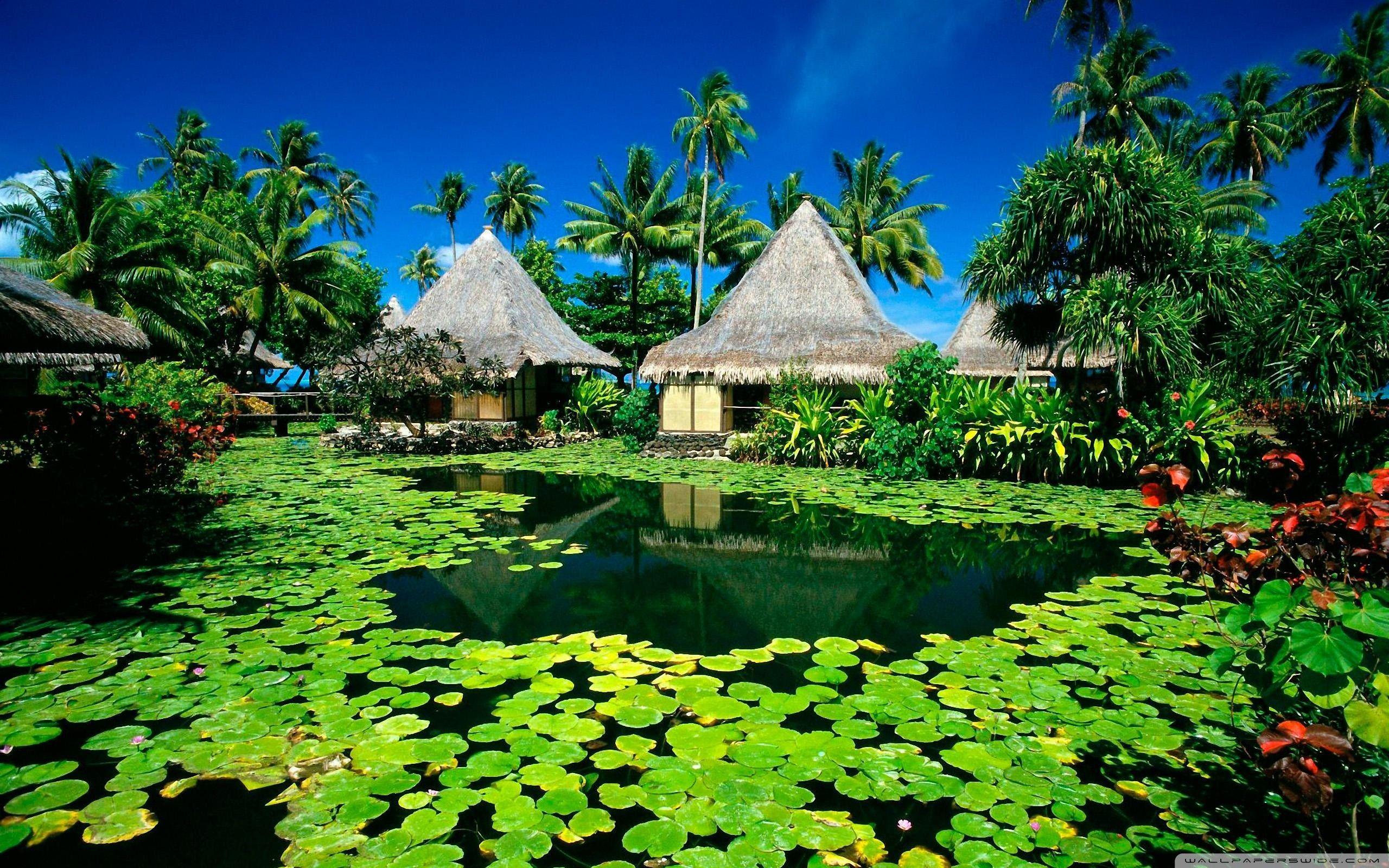 Exotic Places Wallpapers - Top Free Exotic Places Backgrounds ...