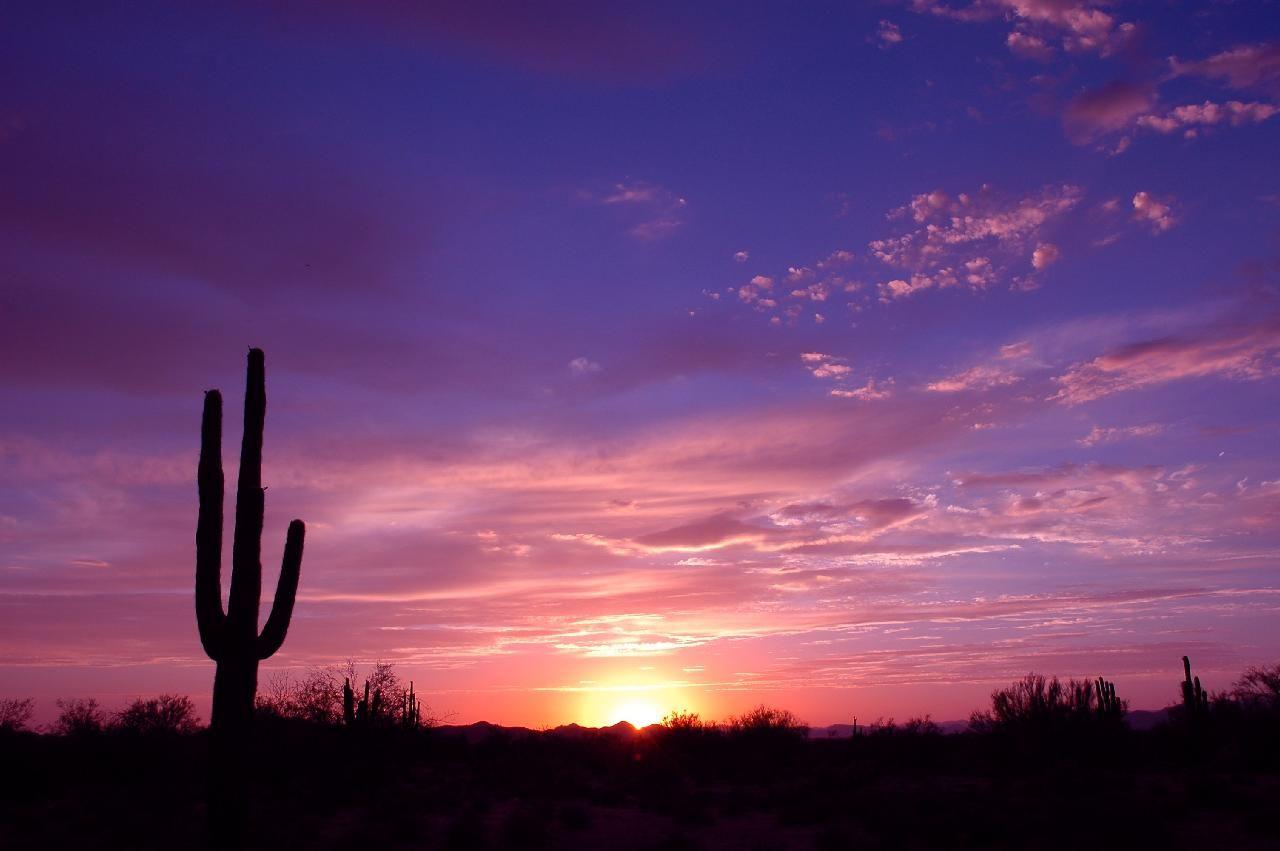 Arizona Desert Sunset Wallpapers - Top Free Arizona Desert Sunset Backgrounds - WallpaperAccess