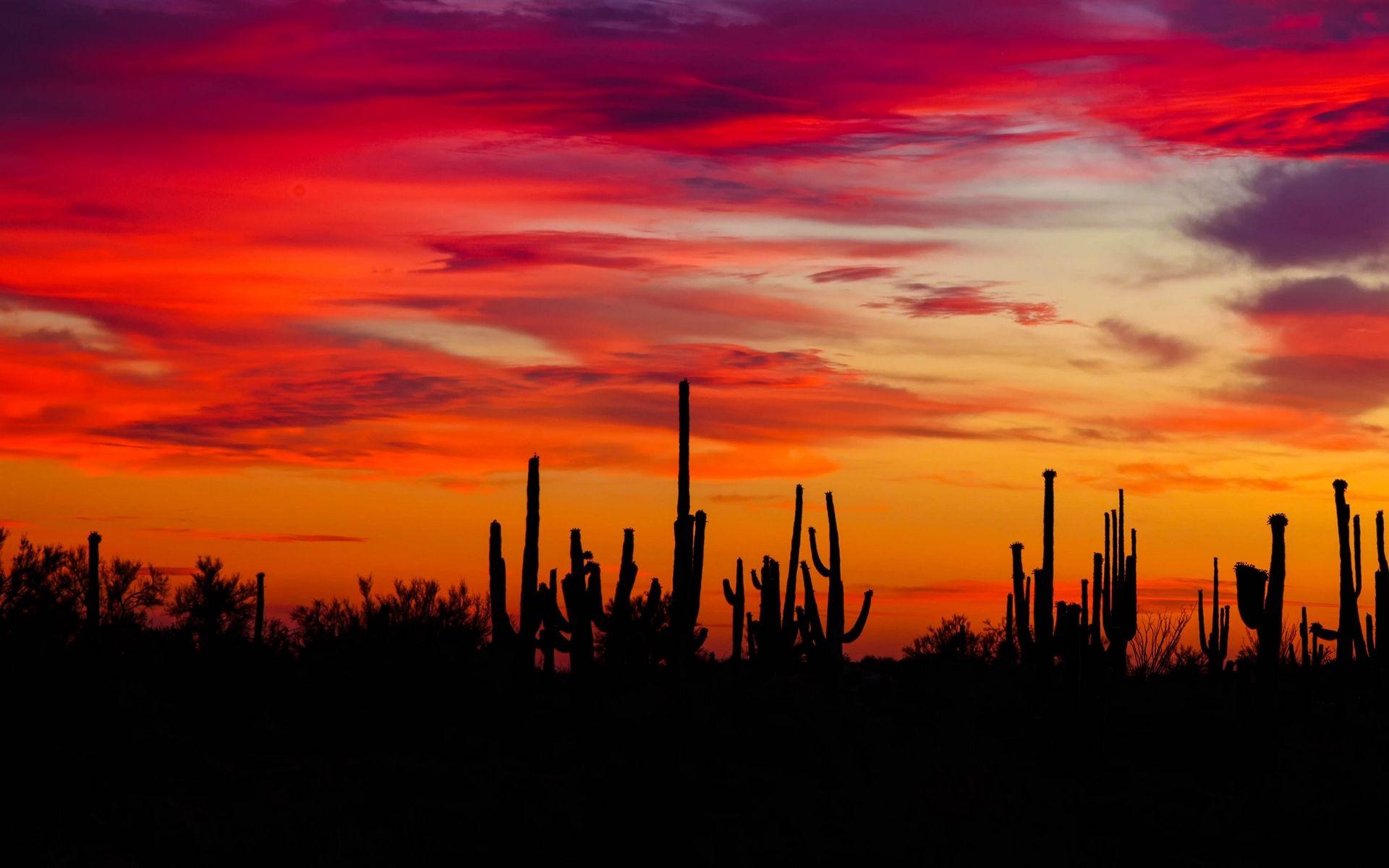 Arizona Desert Sunset Wallpapers - Top Free Arizona Desert Sunset ...