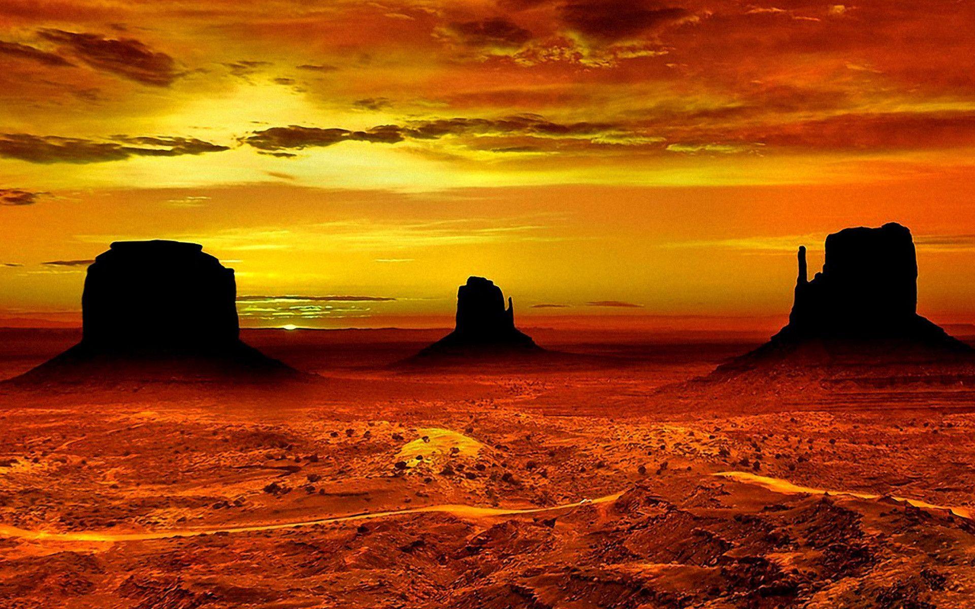 Arizona Cactus Wallpapers - Top Free Arizona Cactus Backgrounds ...