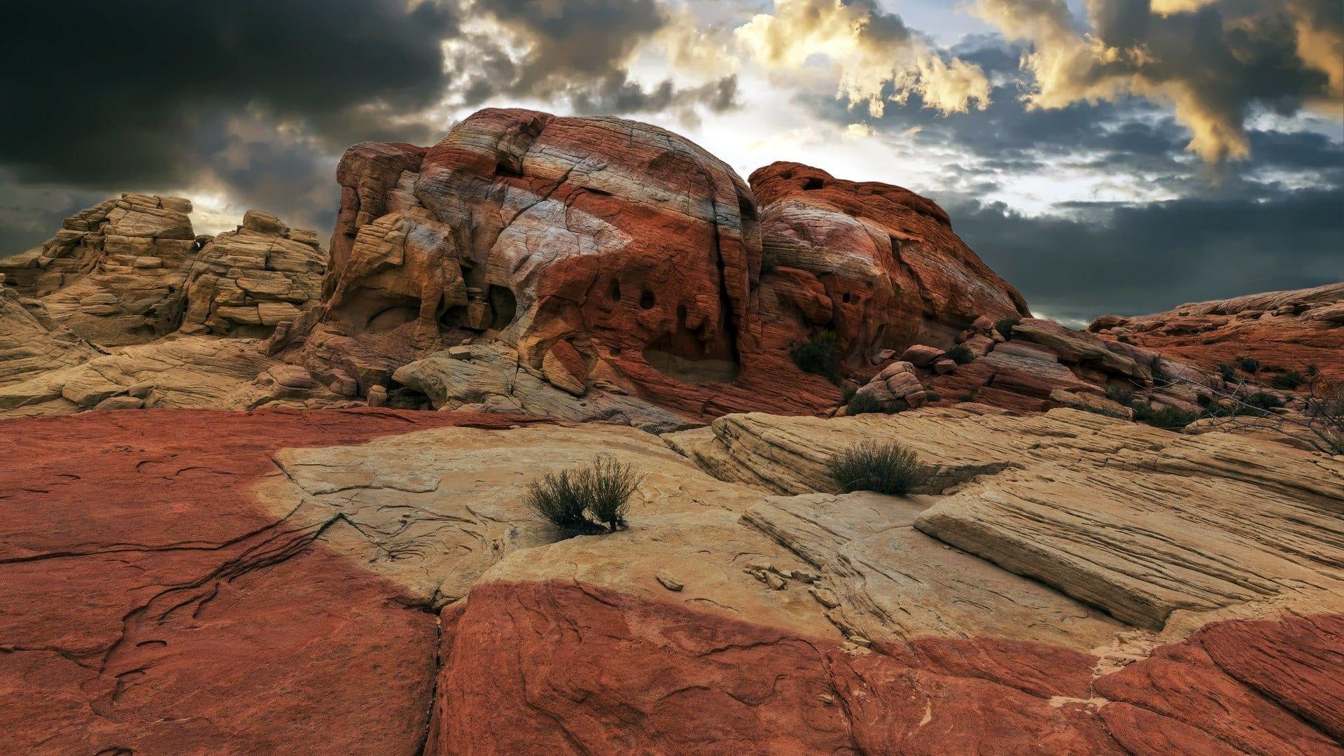 Arizona HD Wallpapers - Top Free Arizona HD Backgrounds - WallpaperAccess