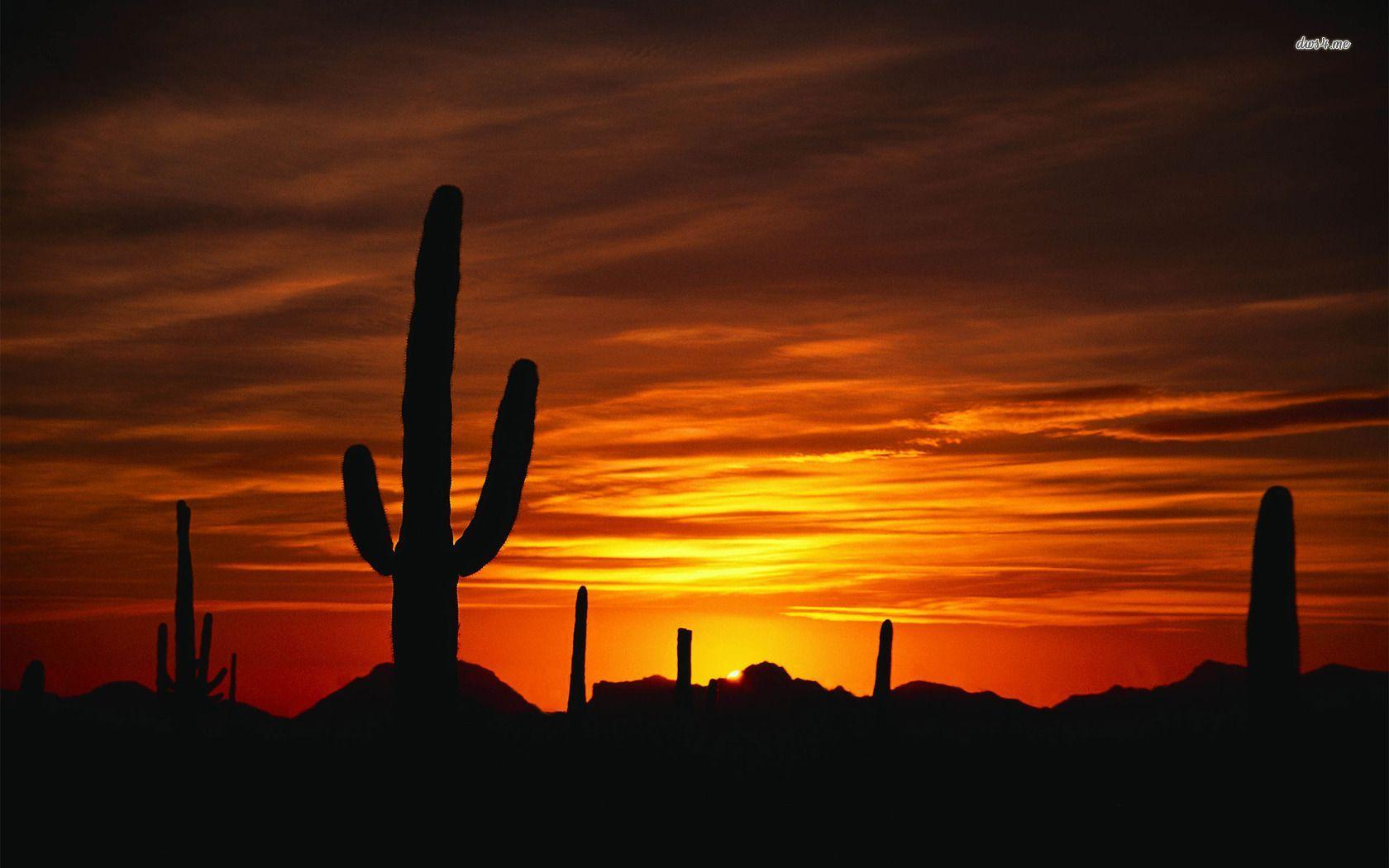 Arizona Sunset Wallpapers - Top Free Arizona Sunset Backgrounds ...