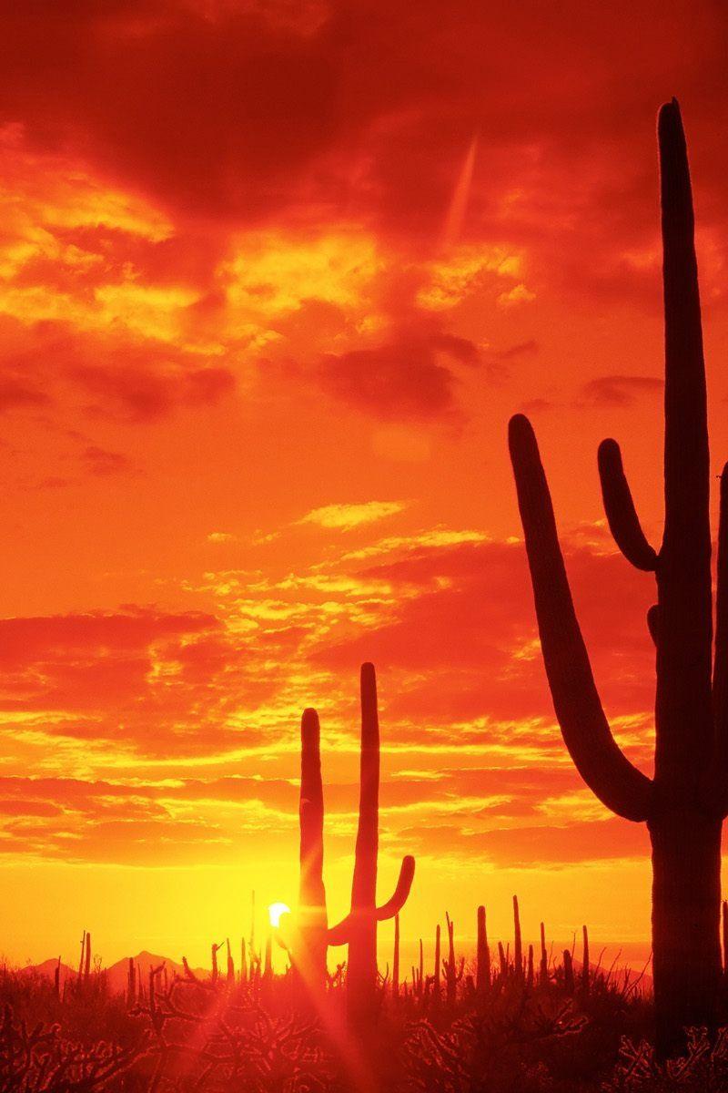 Arizona Night Wallpapers - Top Free Arizona Night Backgrounds ...