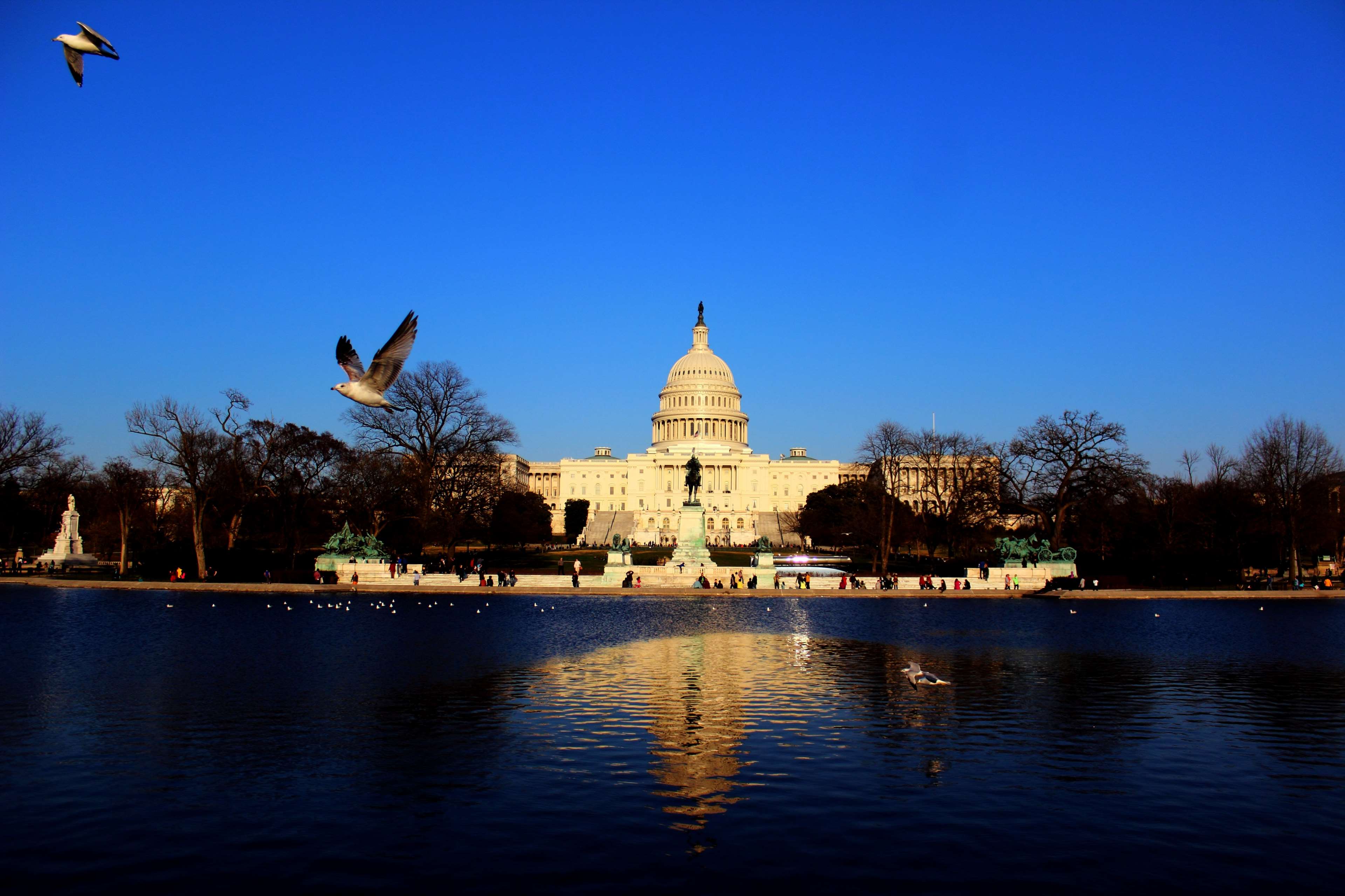 Washington DC Wallpapers - Top Free Washington DC Backgrounds ...