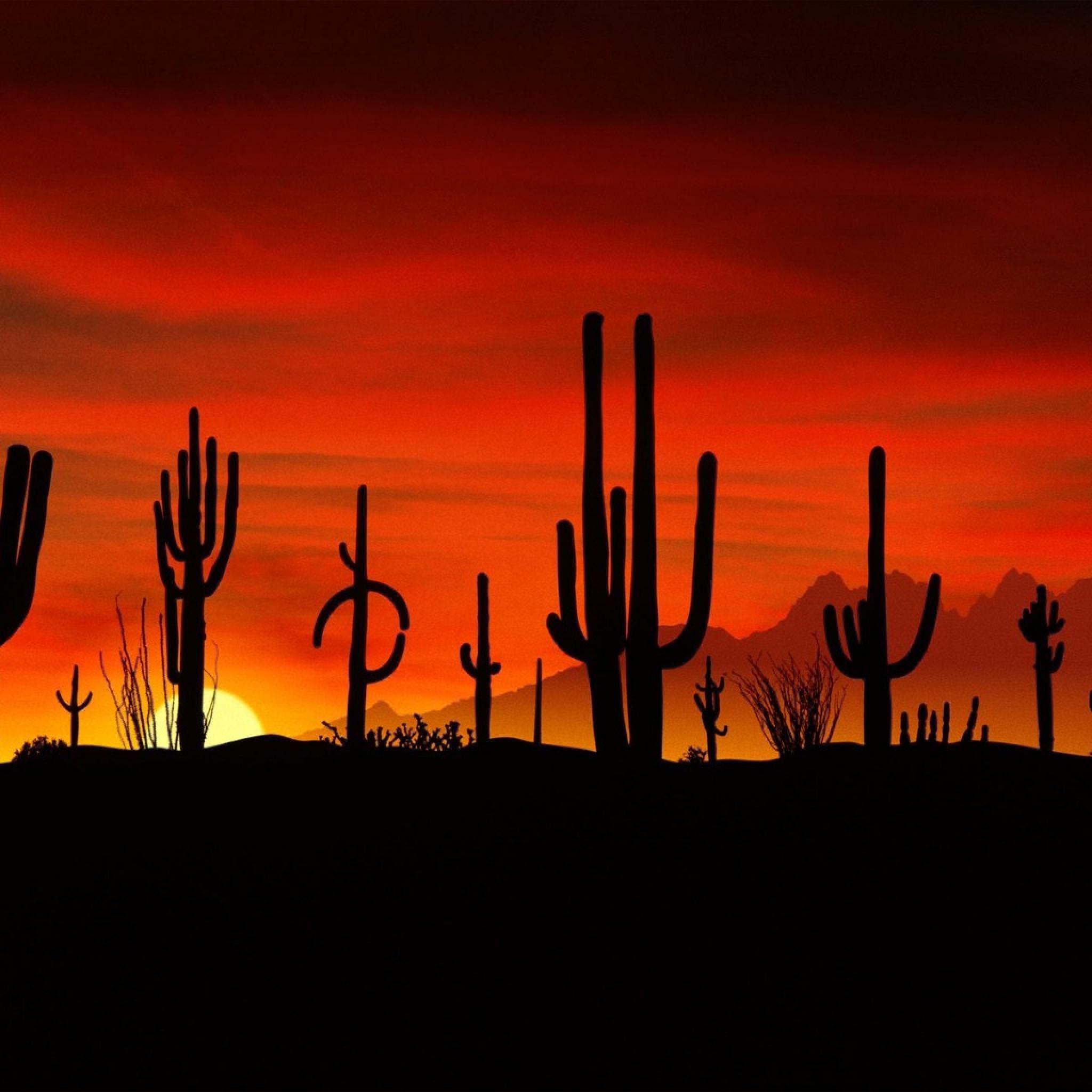 Arizona Desert Sunset Wallpapers - Top Free Arizona Desert Sunset ...