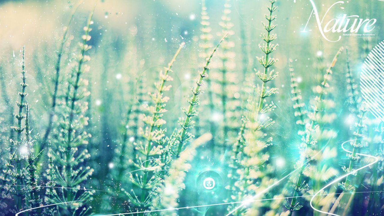 High Quality Aesthetic Desktop Wallpapers - Top Free High Quality ...