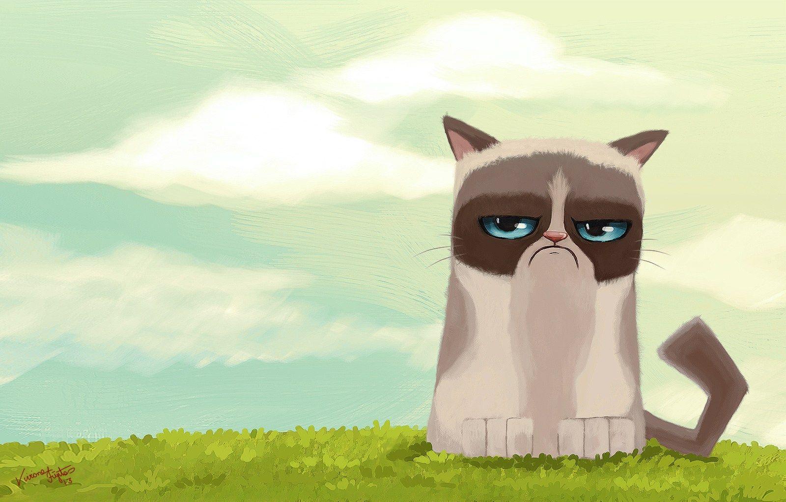 Grumpy Cat Cartoon Wallpapers - Top Free Grumpy Cat Cartoon Backgrounds ...
