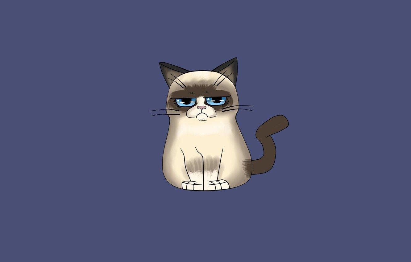 Grumpy Cat Cartoon Wallpapers - Top Free Grumpy Cat Cartoon Backgrounds ...