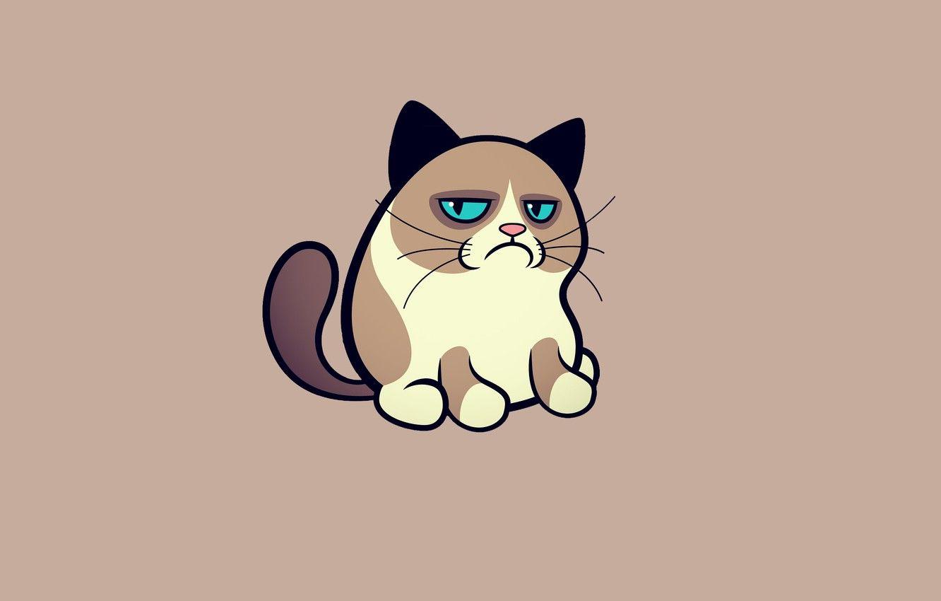 Grumpy Cat Cartoon Wallpapers - Top Free Grumpy Cat Cartoon Backgrounds ...