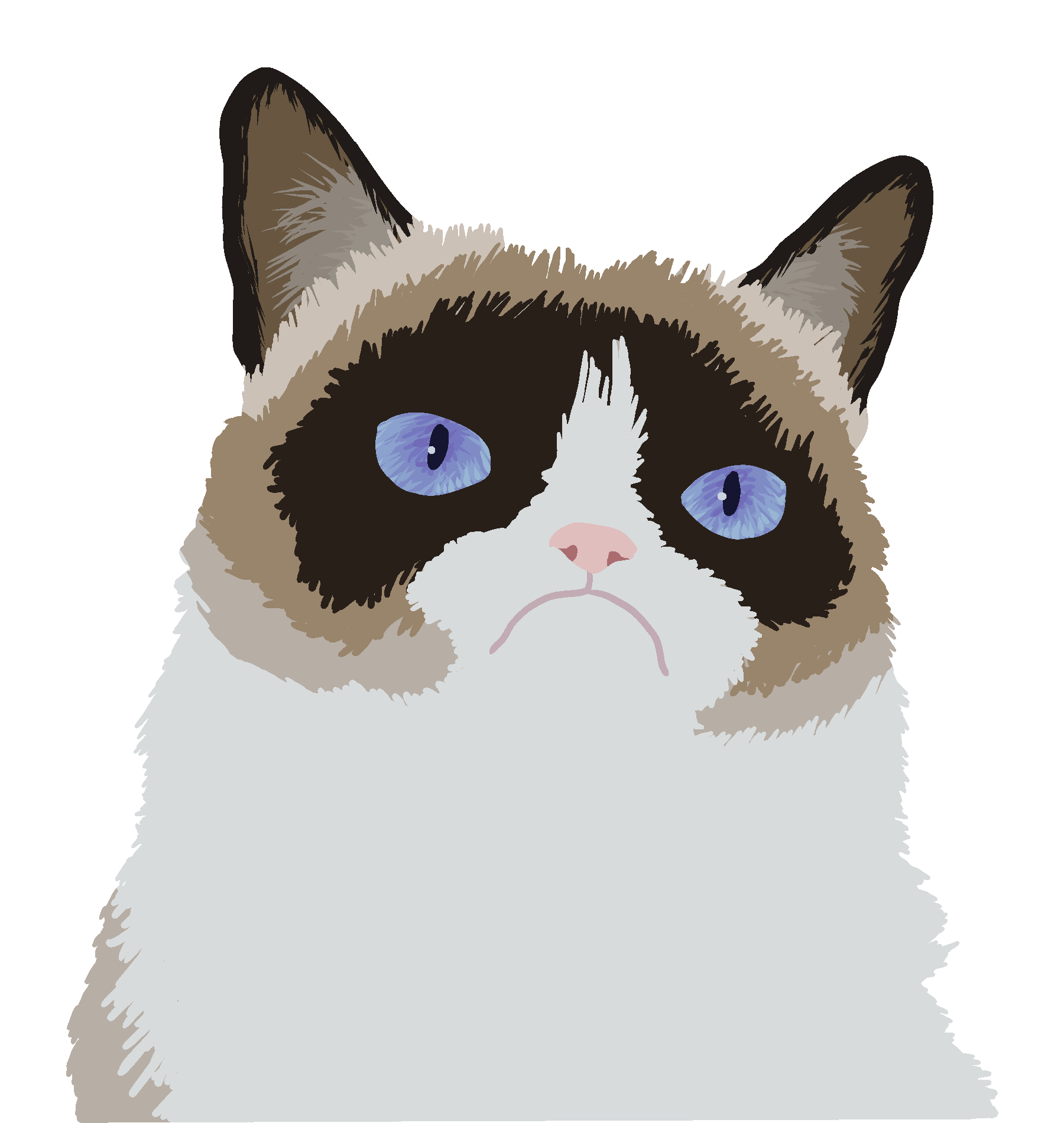 Grumpy Cat Cartoon Wallpapers - Top Free Grumpy Cat Cartoon Backgrounds ...