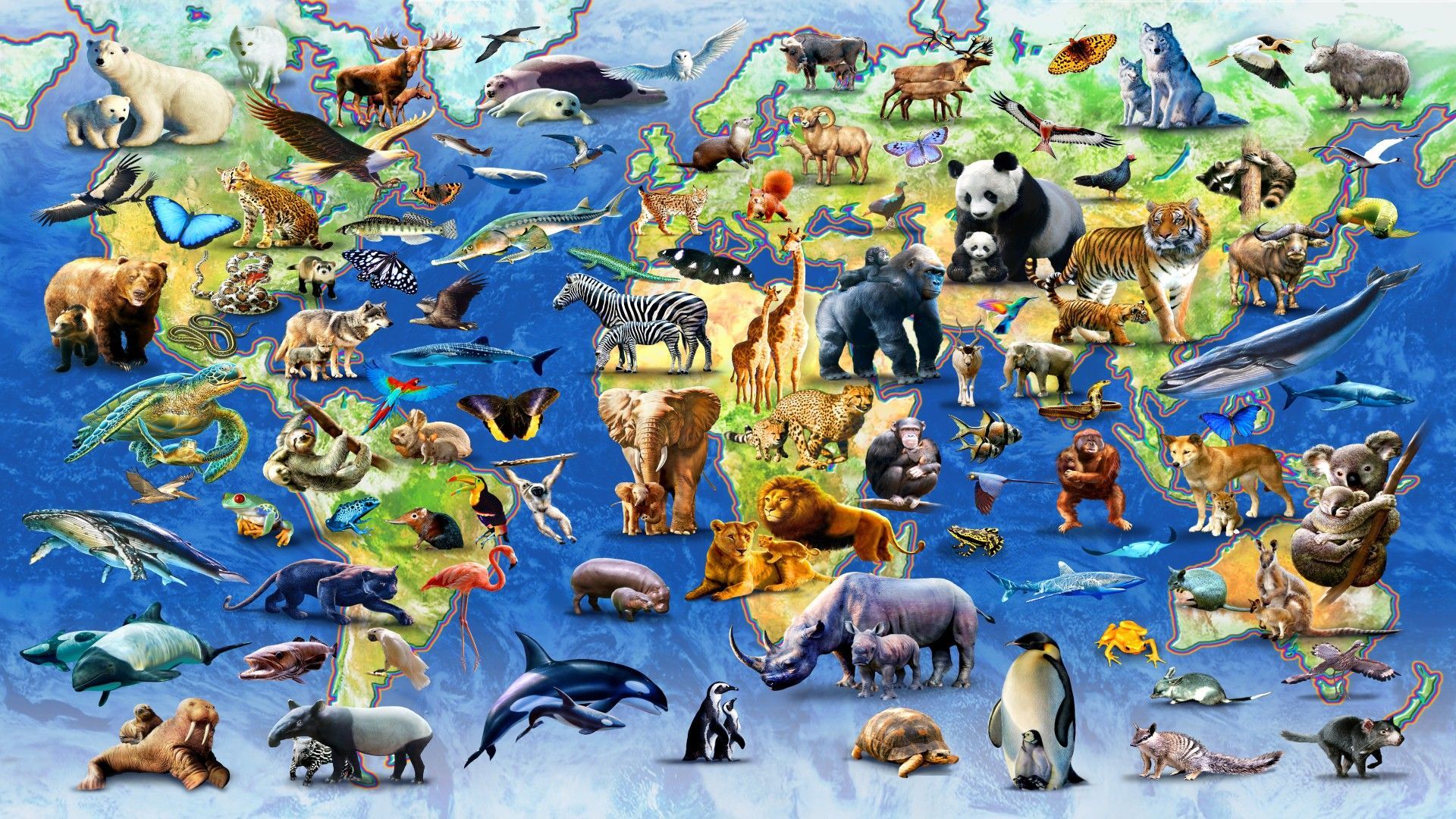 Endangered Animals Wallpapers - Top Free Endangered Animals Backgrounds ...