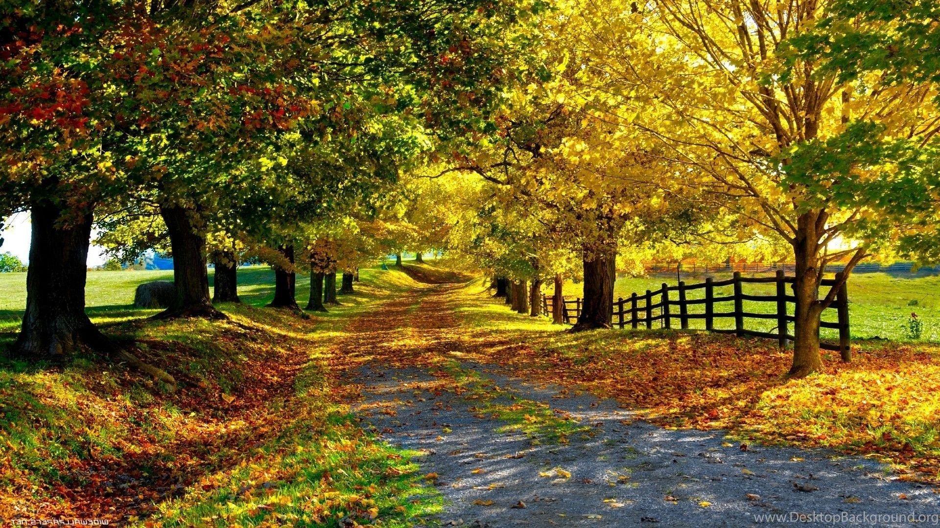 Best Nature Desktop Wallpapers - Top Free Best Nature Desktop ... Best Nature Desktop Wallpapers - Top Free Best Nature Desktop ...