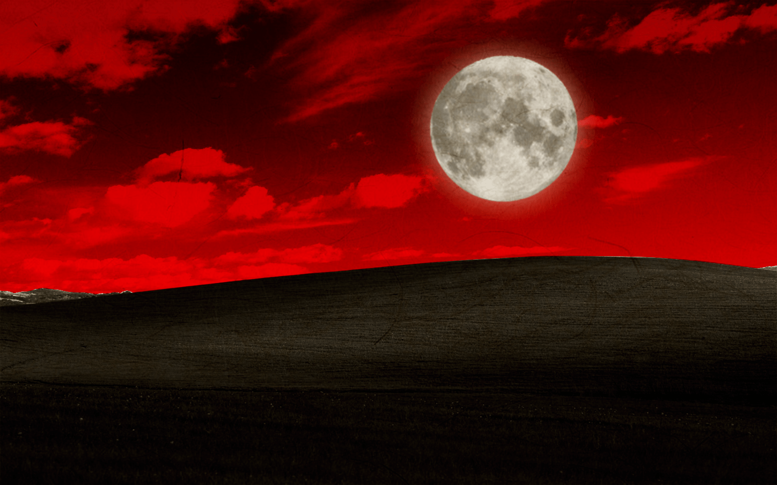 Hanafuda Wallpapers - Top Free Hanafuda Backgrounds - WallpaperAccess