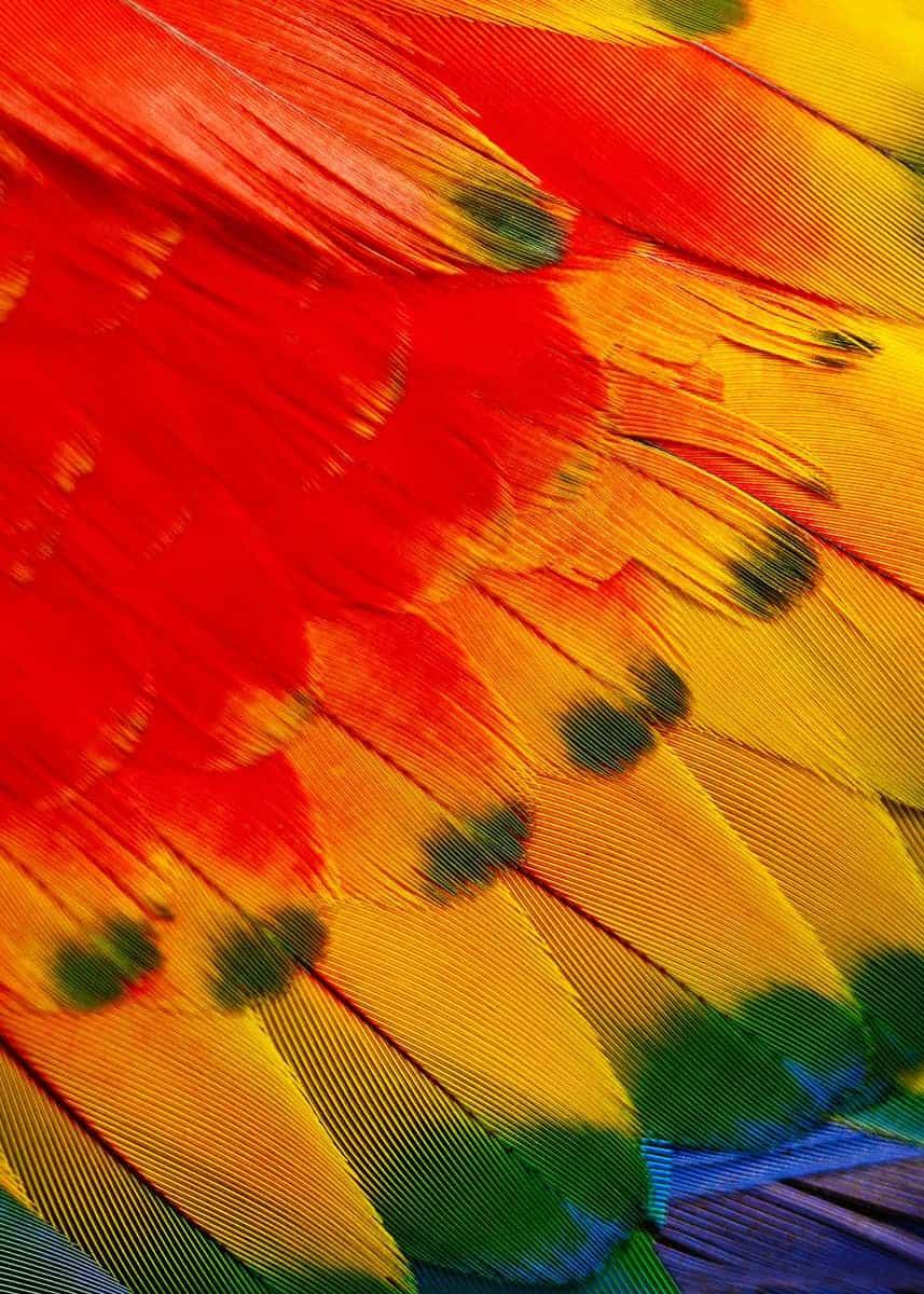 Symbian Wallpapers - Top Free Symbian Backgrounds - WallpaperAccess