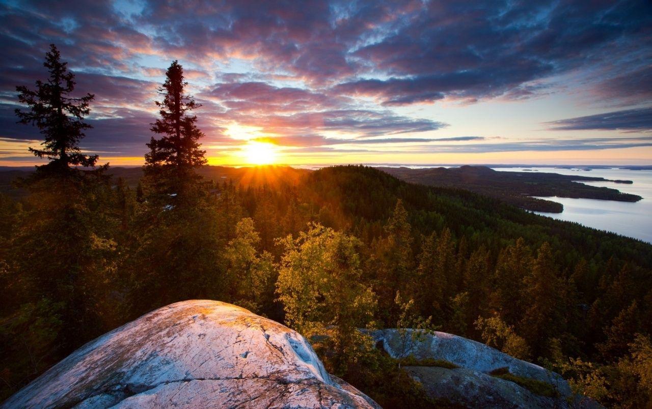 Forest Sunset Wallpapers - Top Free Forest Sunset Backgrounds ...