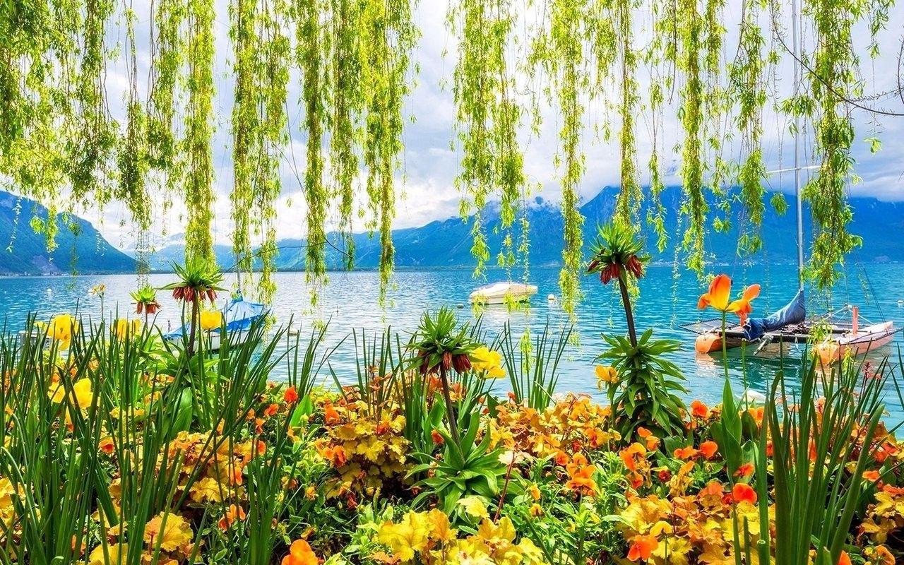 Lake Flowers Wallpapers - Top Free Lake Flowers Backgrounds ...