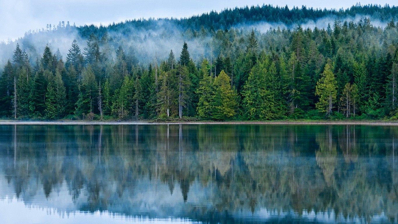 Canada Forest Wallpapers - Top Free Canada Forest Backgrounds ...