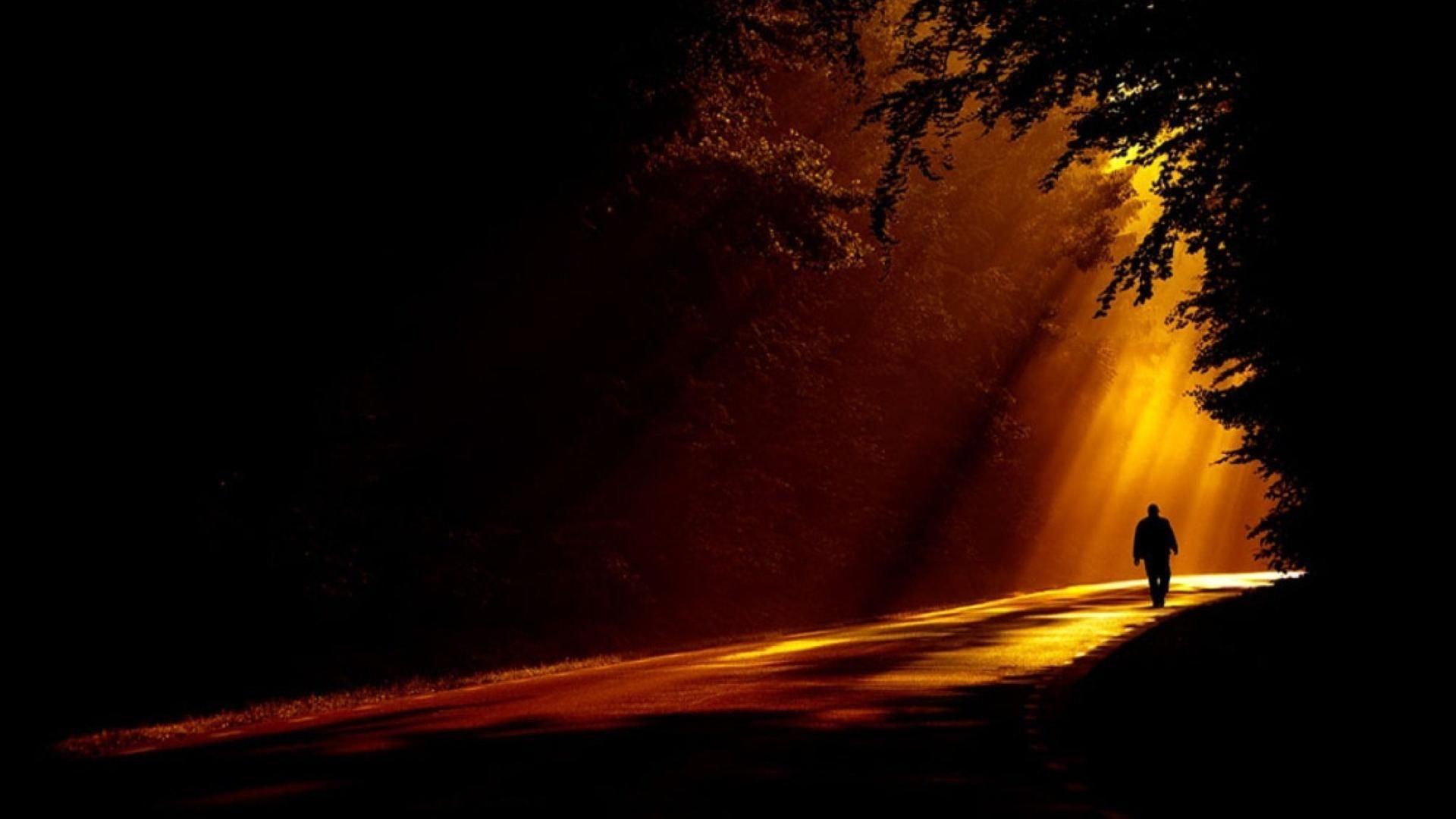 Forest Sunset Wallpapers - Top Free Forest Sunset Backgrounds ...