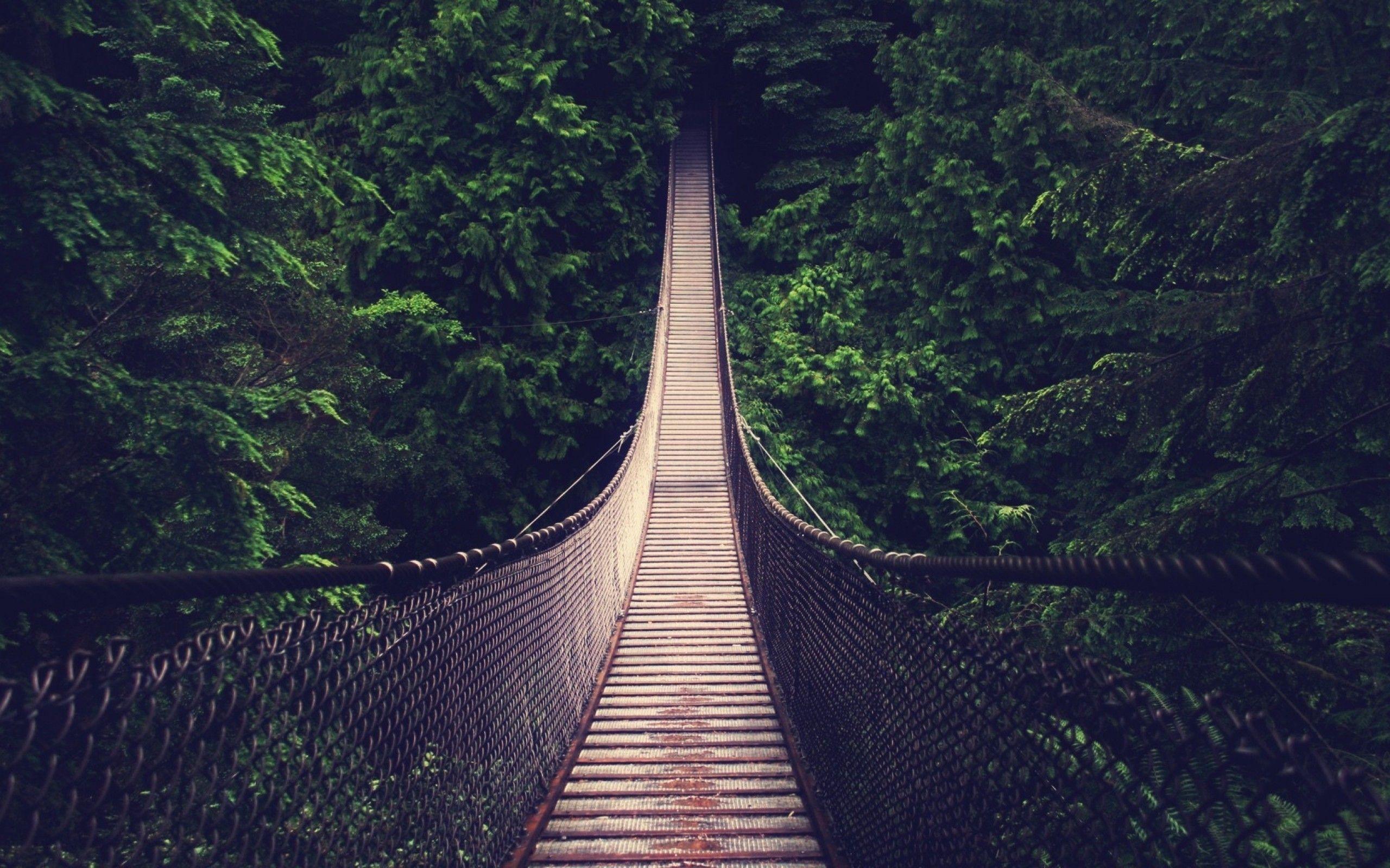 Canada Forest Wallpapers - Top Free Canada Forest Backgrounds ...