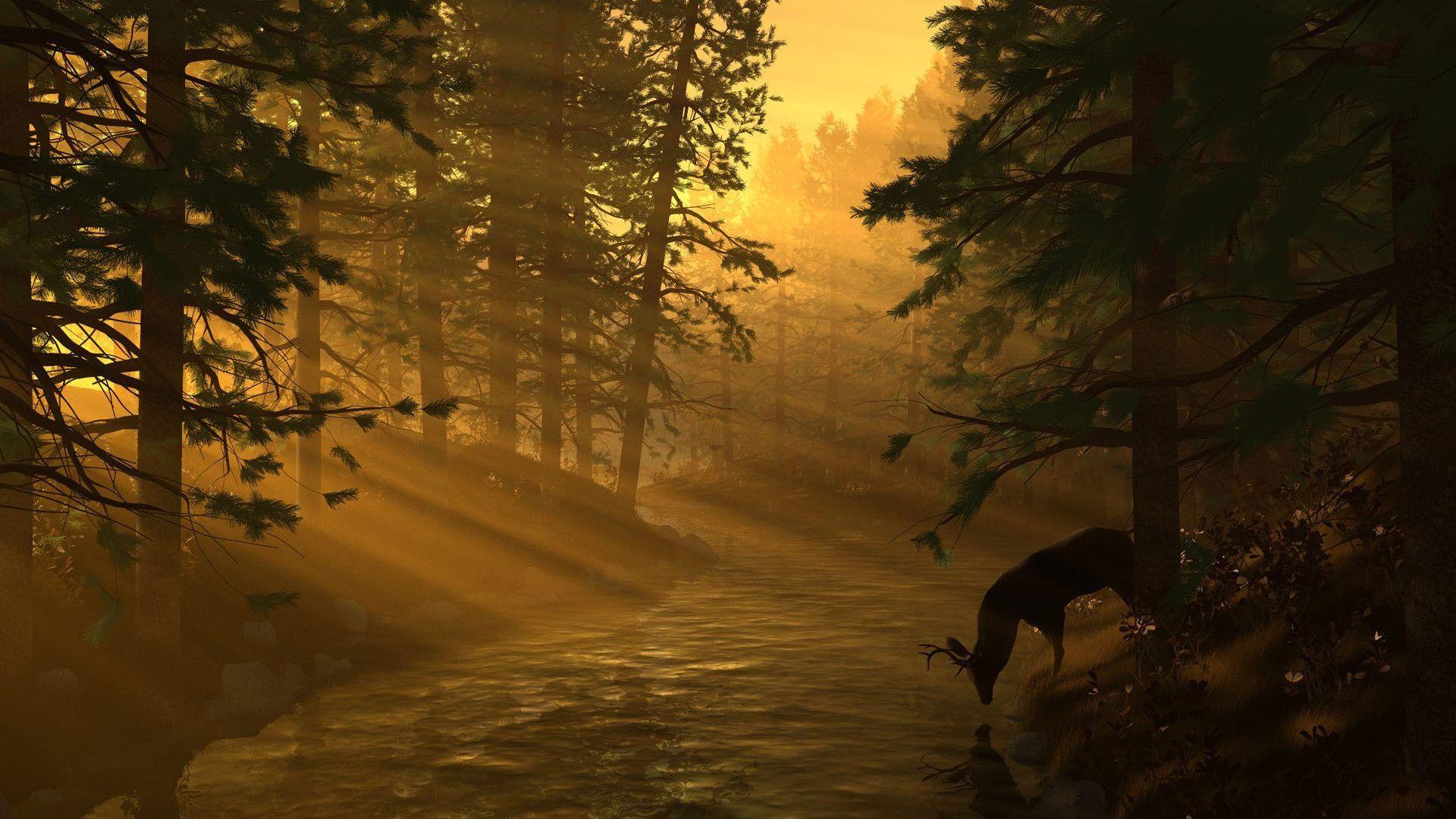 Forest Sunset Wallpapers - Top Free Forest Sunset Backgrounds ...