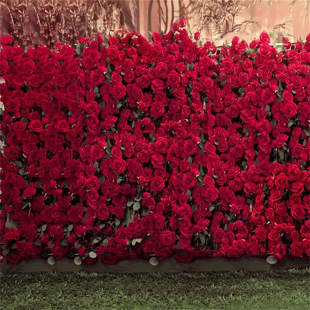 Red Wedding Wallpapers - Top Free Red Wedding Backgrounds - WallpaperAccess