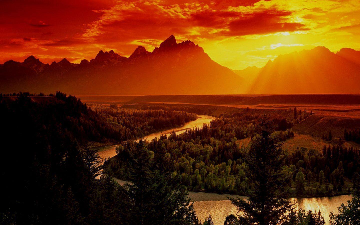 Forest Sunset Wallpapers - Top Free Forest Sunset Backgrounds ...