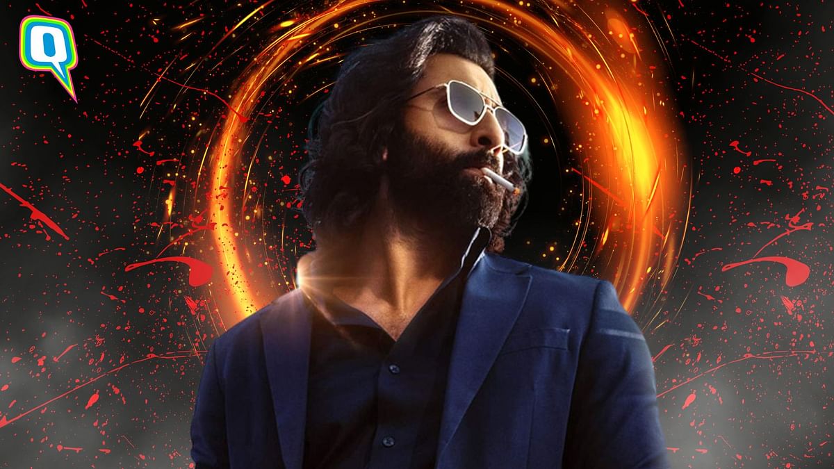 Animal Ranbir Kapoor Wallpapers - Top Free Animal Ranbir Kapoor ...