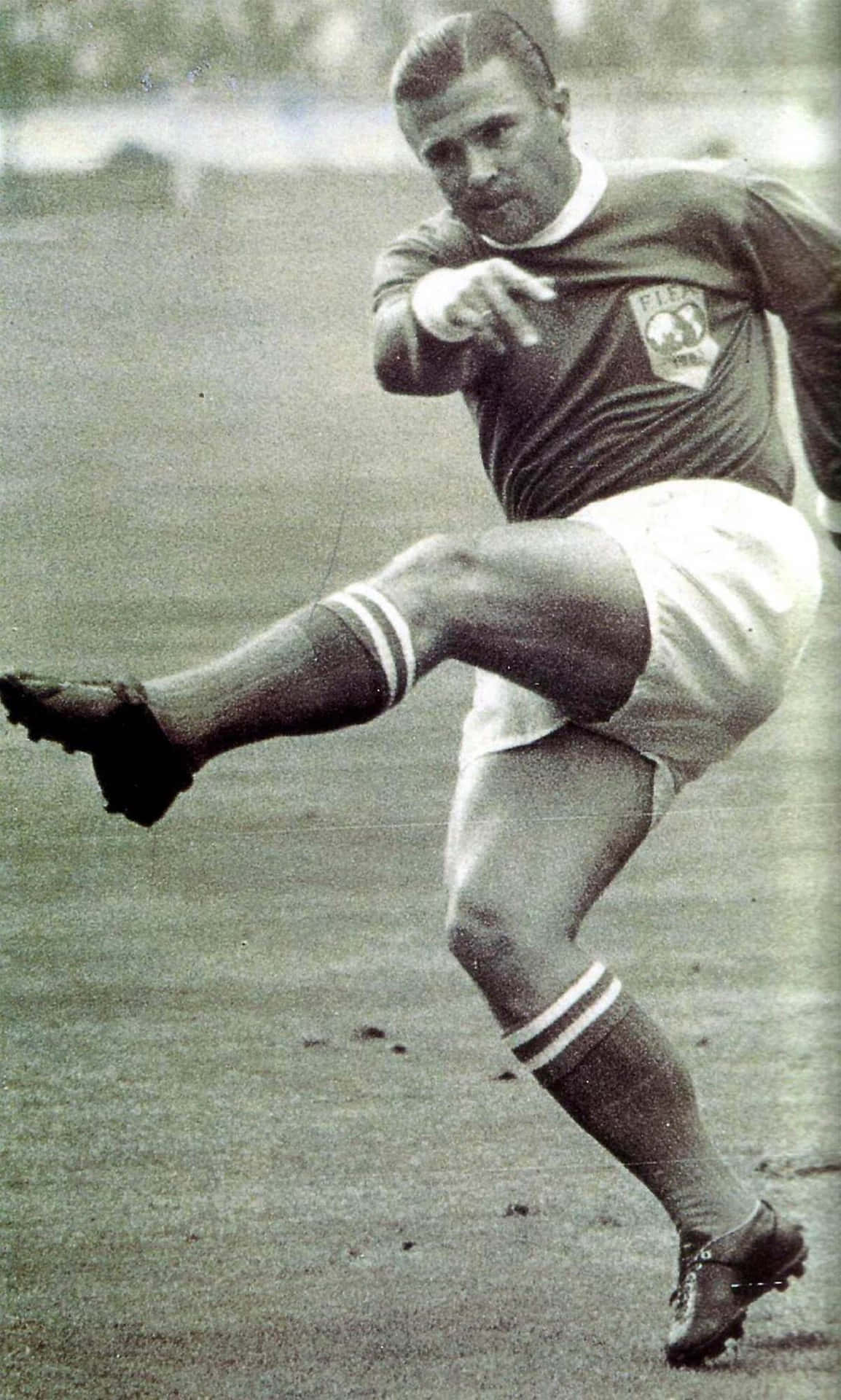 Puskas Wallpapers - Top Free Puskas Backgrounds - WallpaperAccess