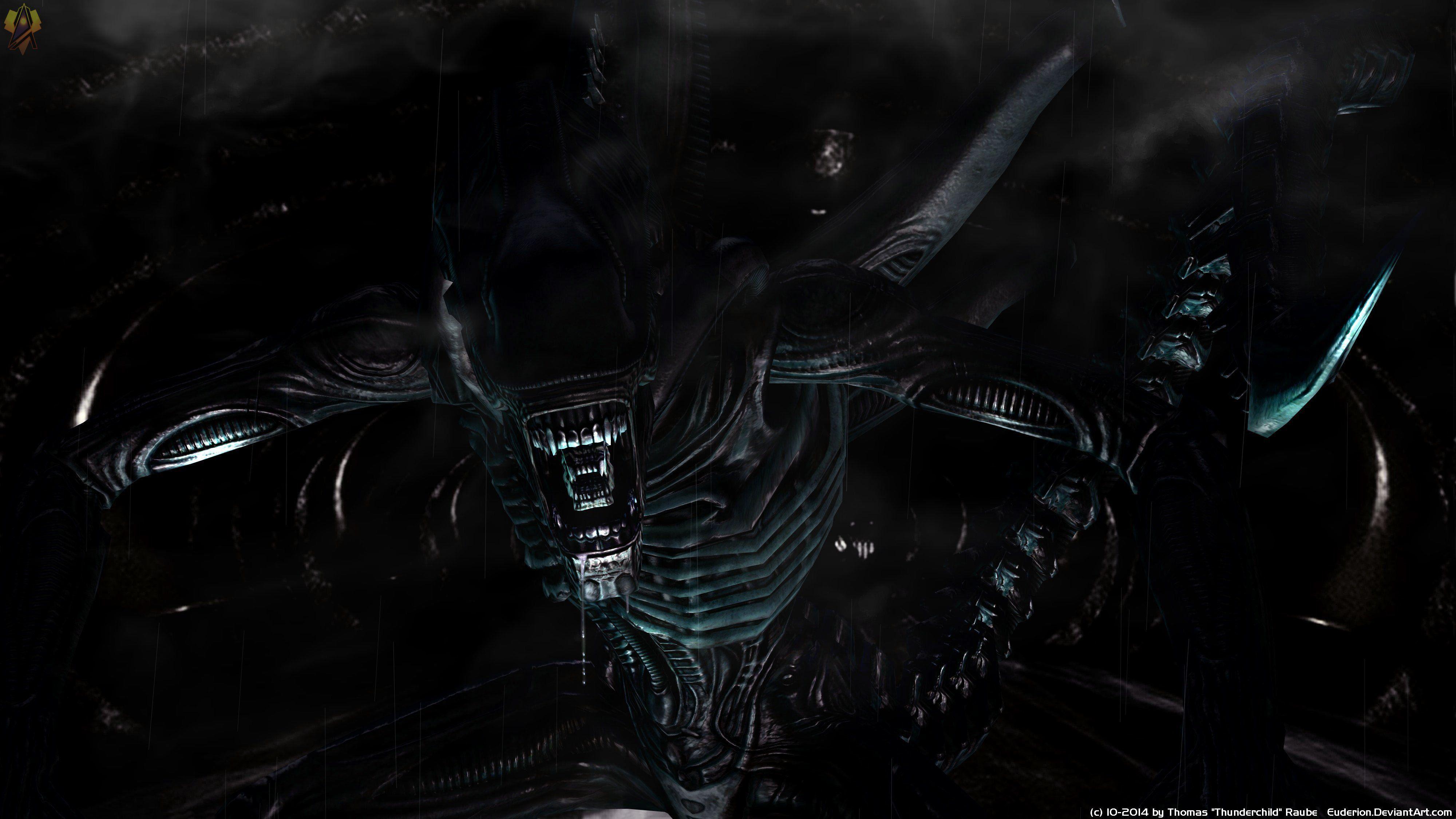 Alien Xenomorph Wallpapers - Top Free Alien Xenomorph Backgrounds ...