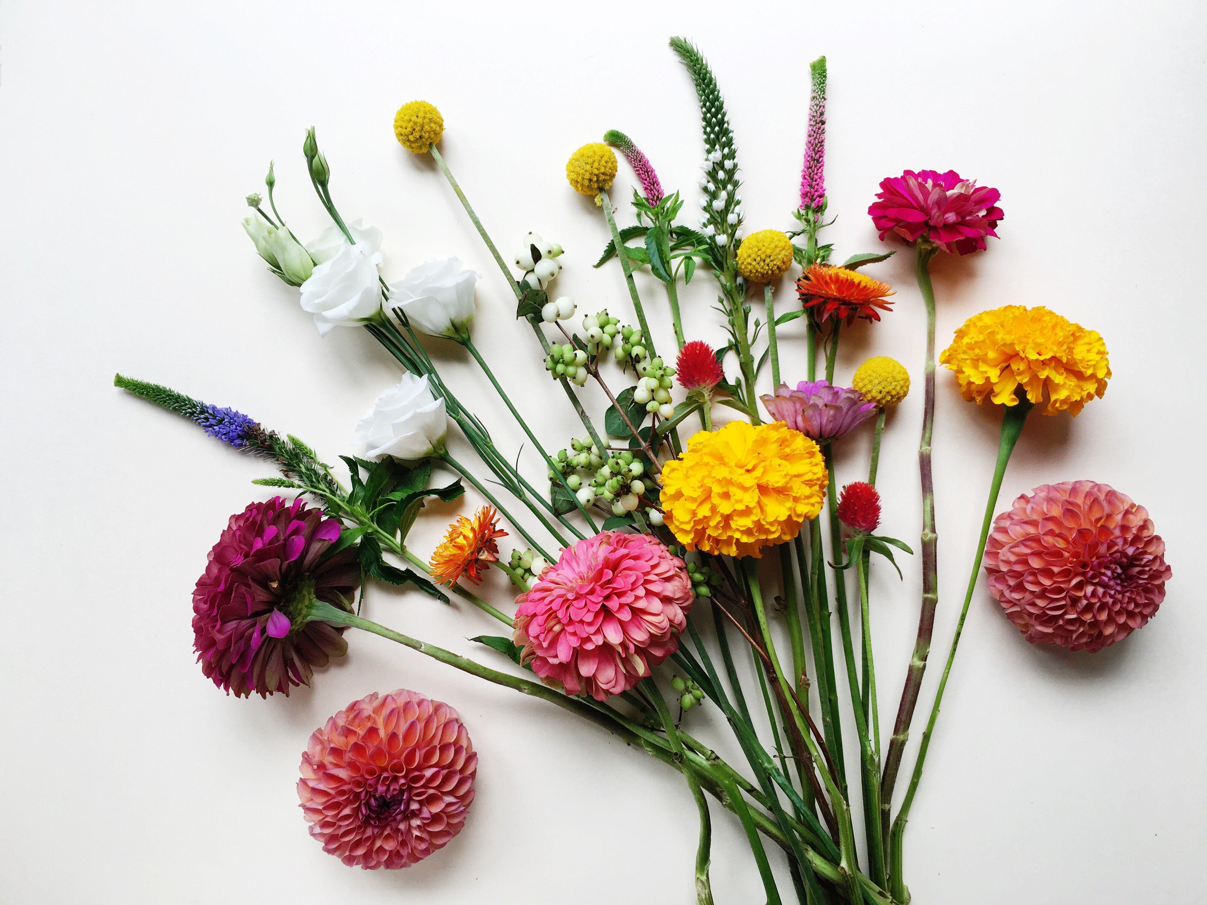 Floral Laptop Wallpapers - Top Free Floral Laptop Backgrounds ...